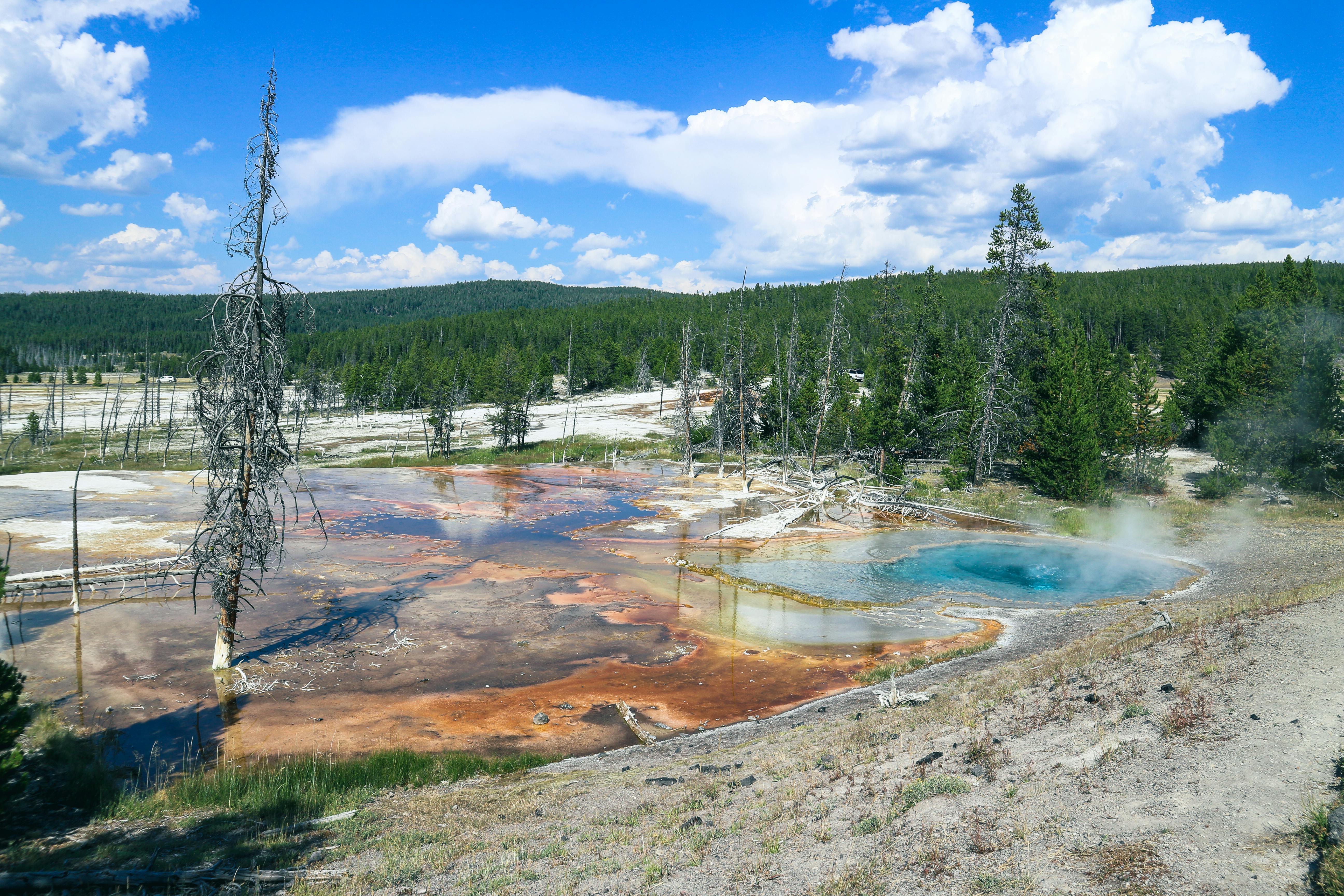 Geyser in Yellowstone National Park in USA · Free Stock Photo
