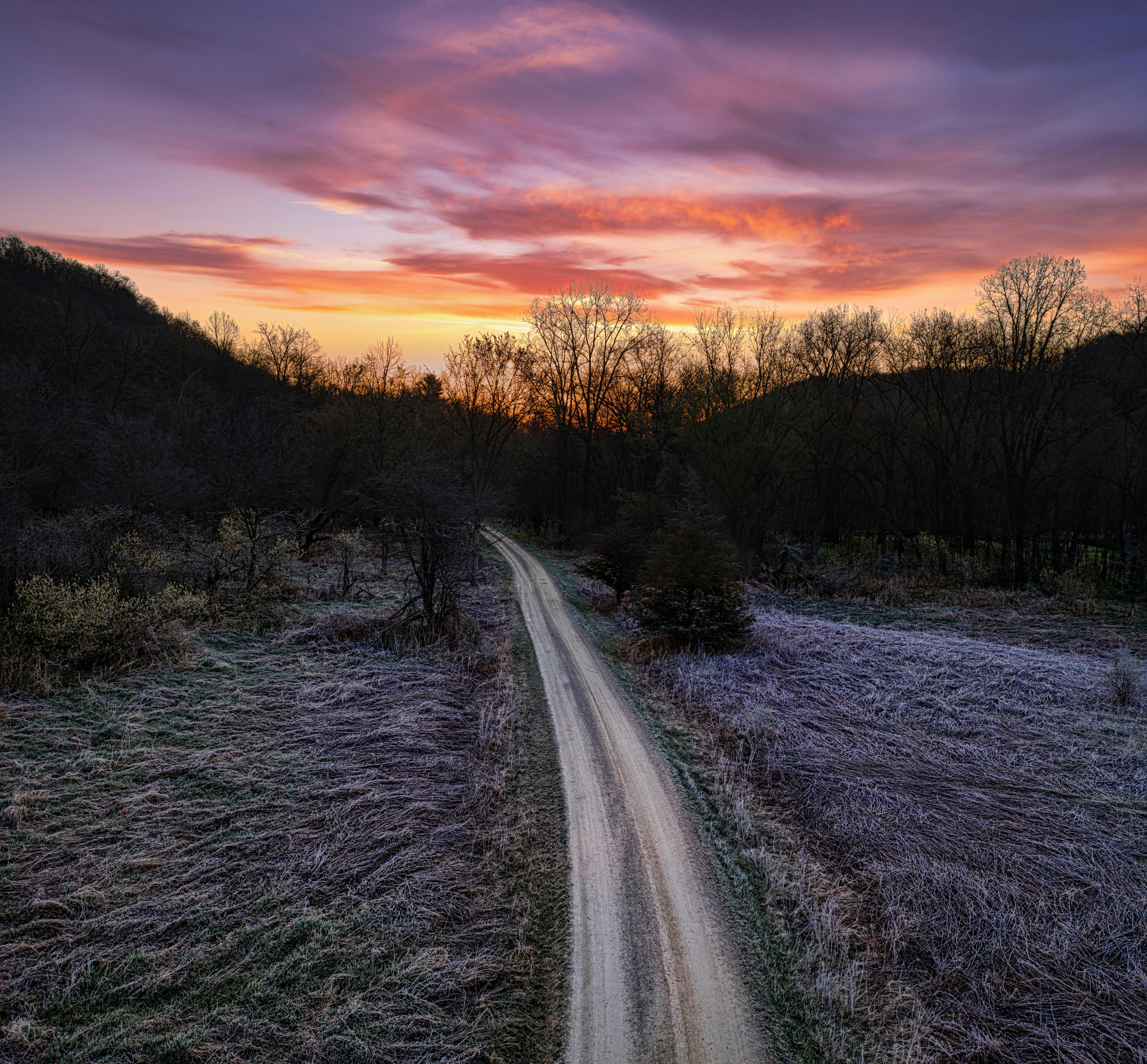 Frost Covered Grass Along Dirt Road at Dusk · Free Stock Photo