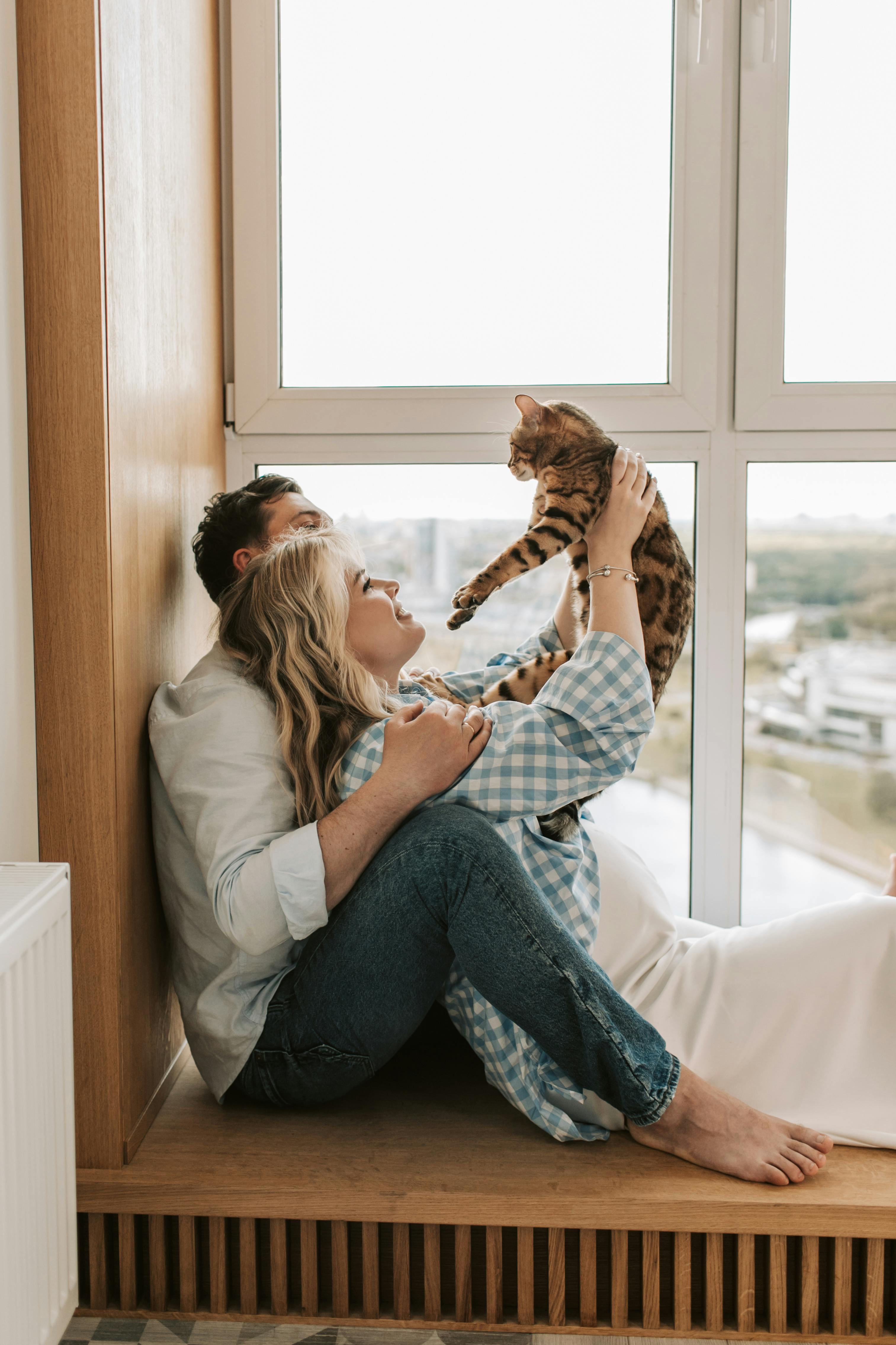 Couple Cat Wallpaper Photos, Download The BEST Free Couple Cat ...