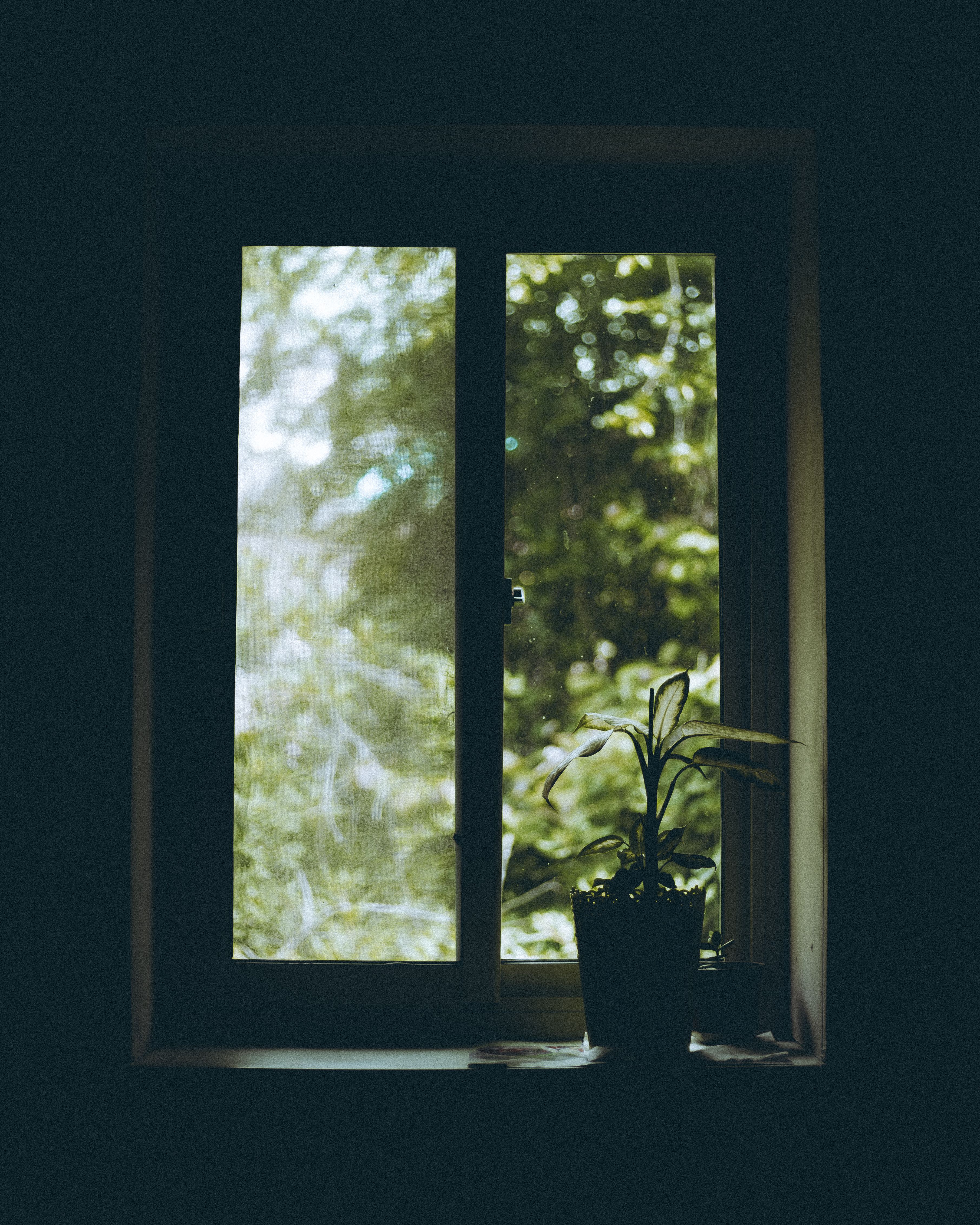 Opened Glass Window · Free Stock Photo