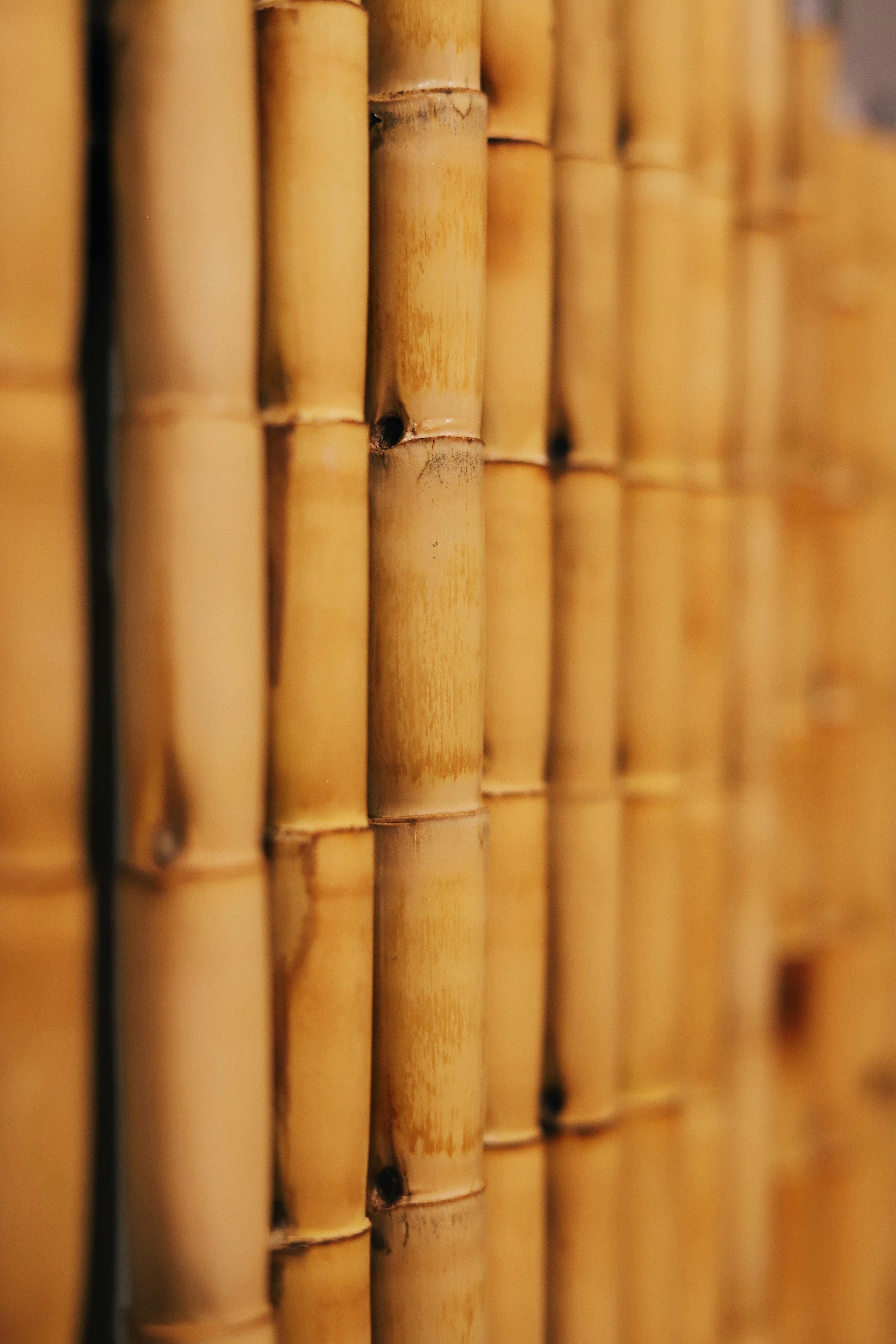 Row Sticks Photos, Download The BEST Free Row Sticks Stock Photos & HD ...