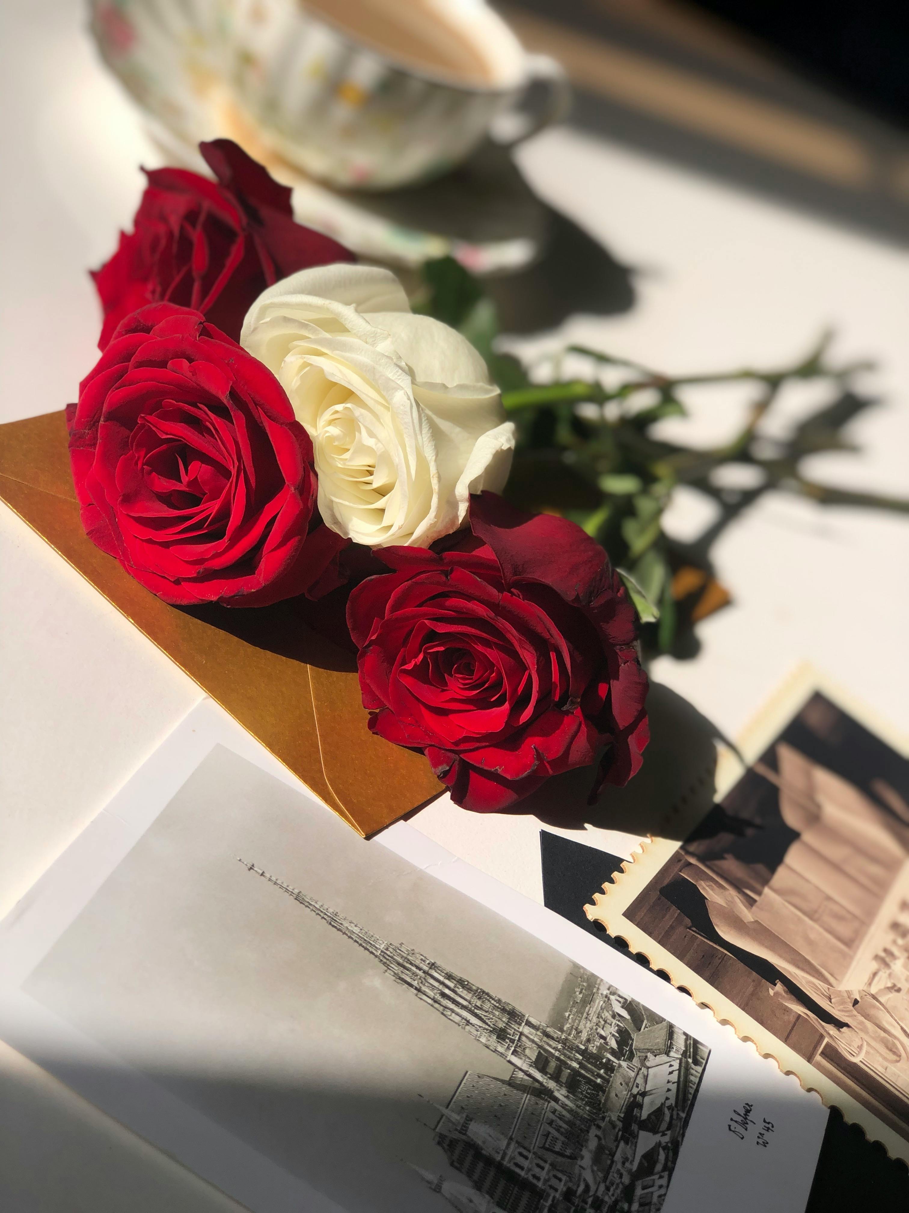 Gradation Composition Photos, Download Free Gradation Composition Stock ...