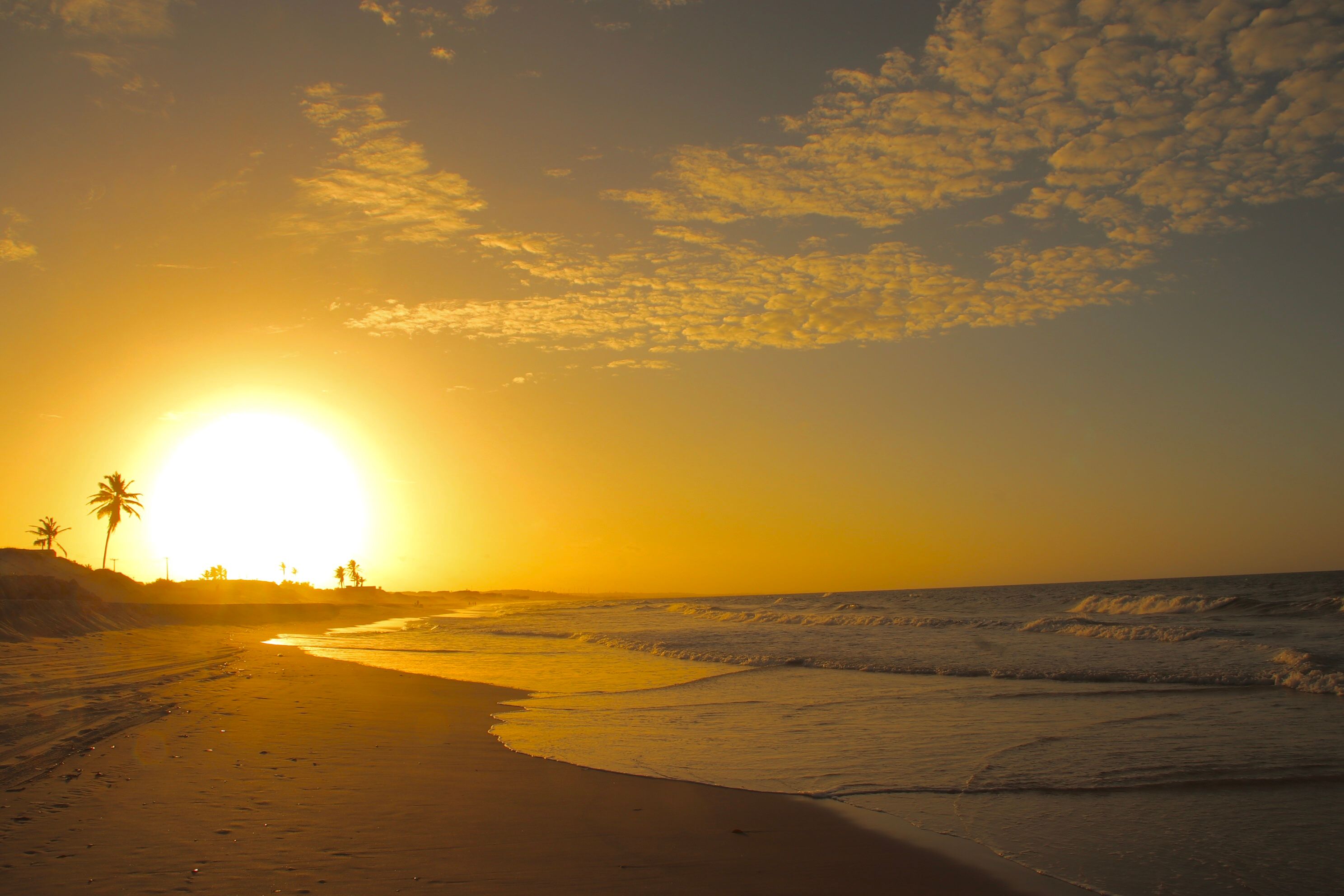Sunset at the Beach · Free Stock Photo