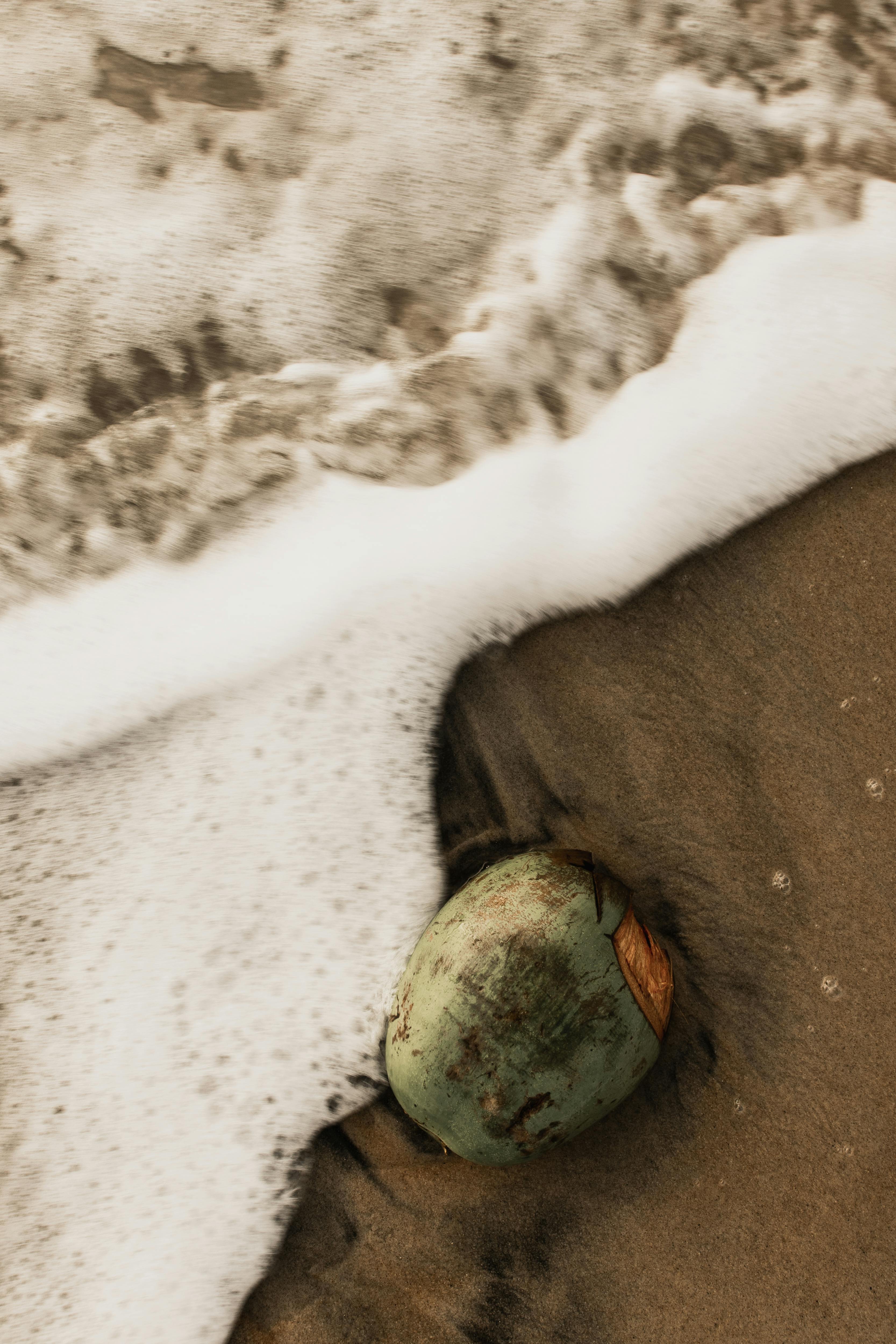 Wave Coconut Photos, Download The BEST Free Wave Coconut Stock Photos ...