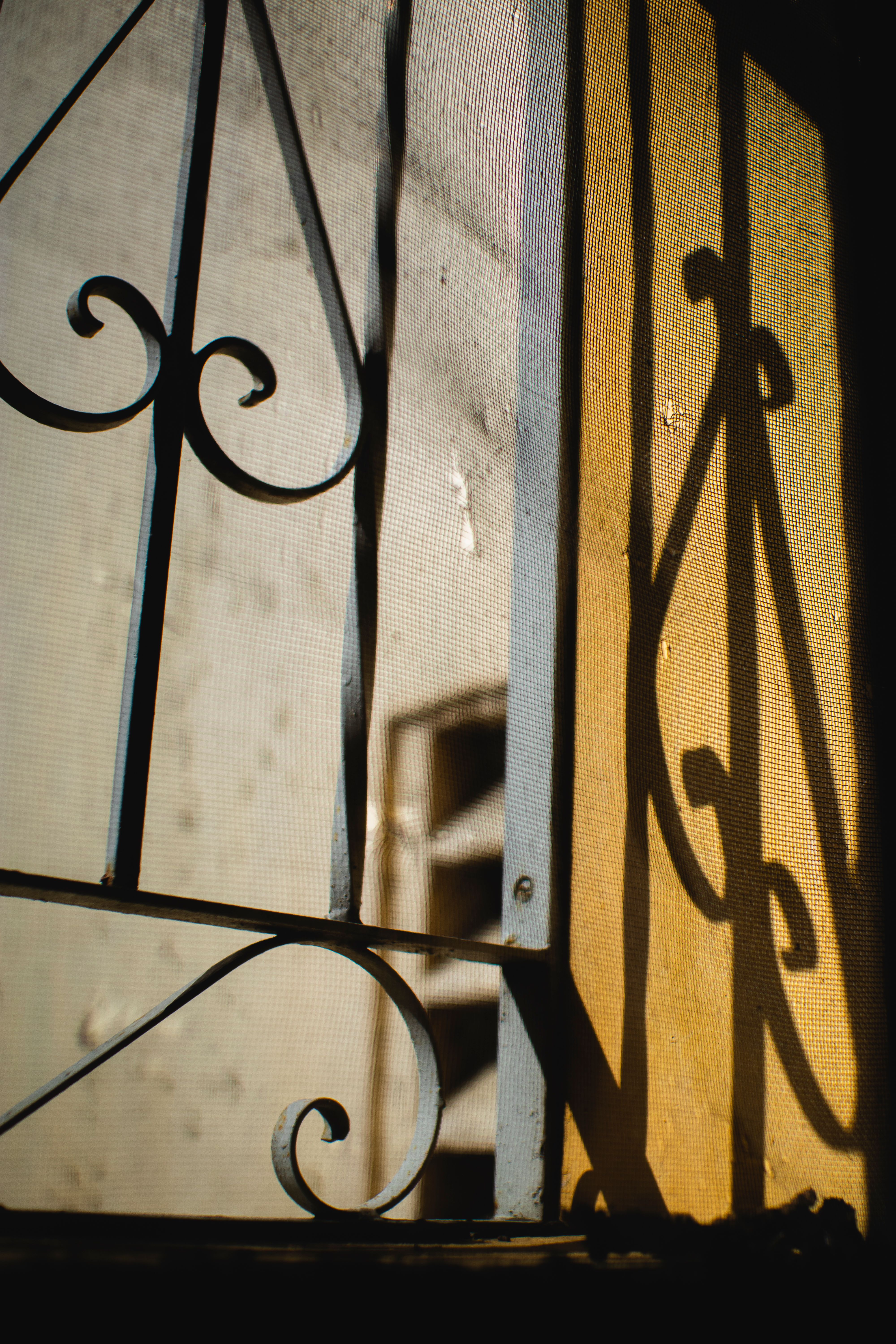 Iron Railing and Its Shadow · Free Stock Photo