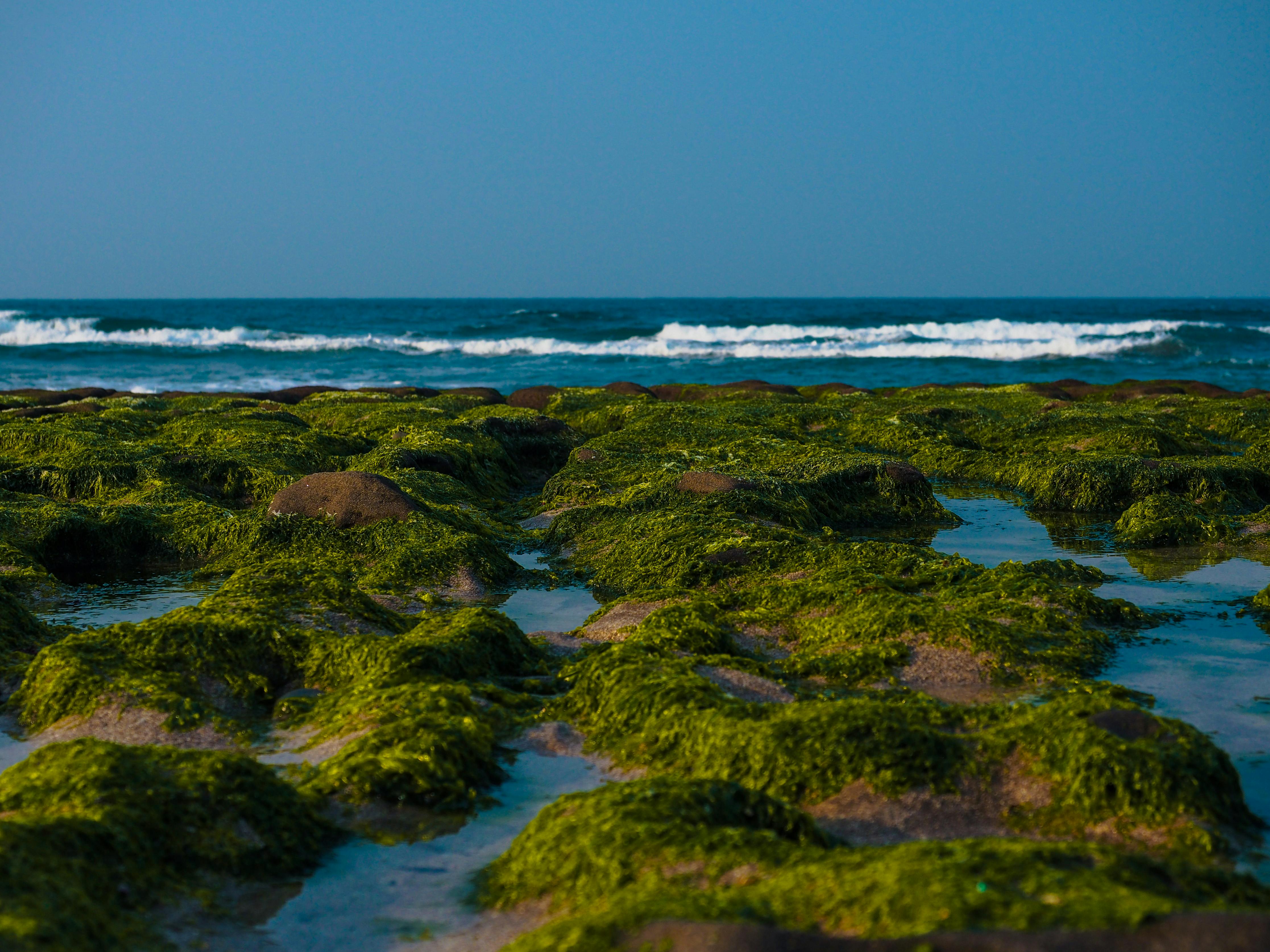 Sea Shore behind Gap in Wave · Free Stock Photo