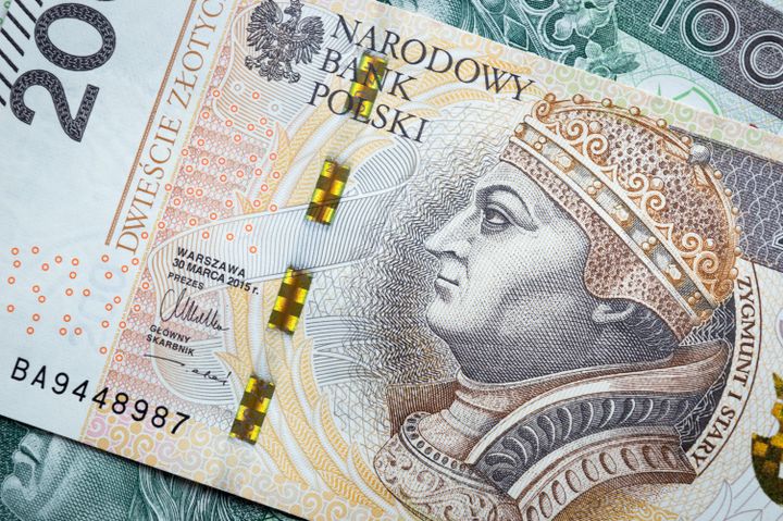 A Comprehensive Guide to the Polish Monetary Unit: PLN