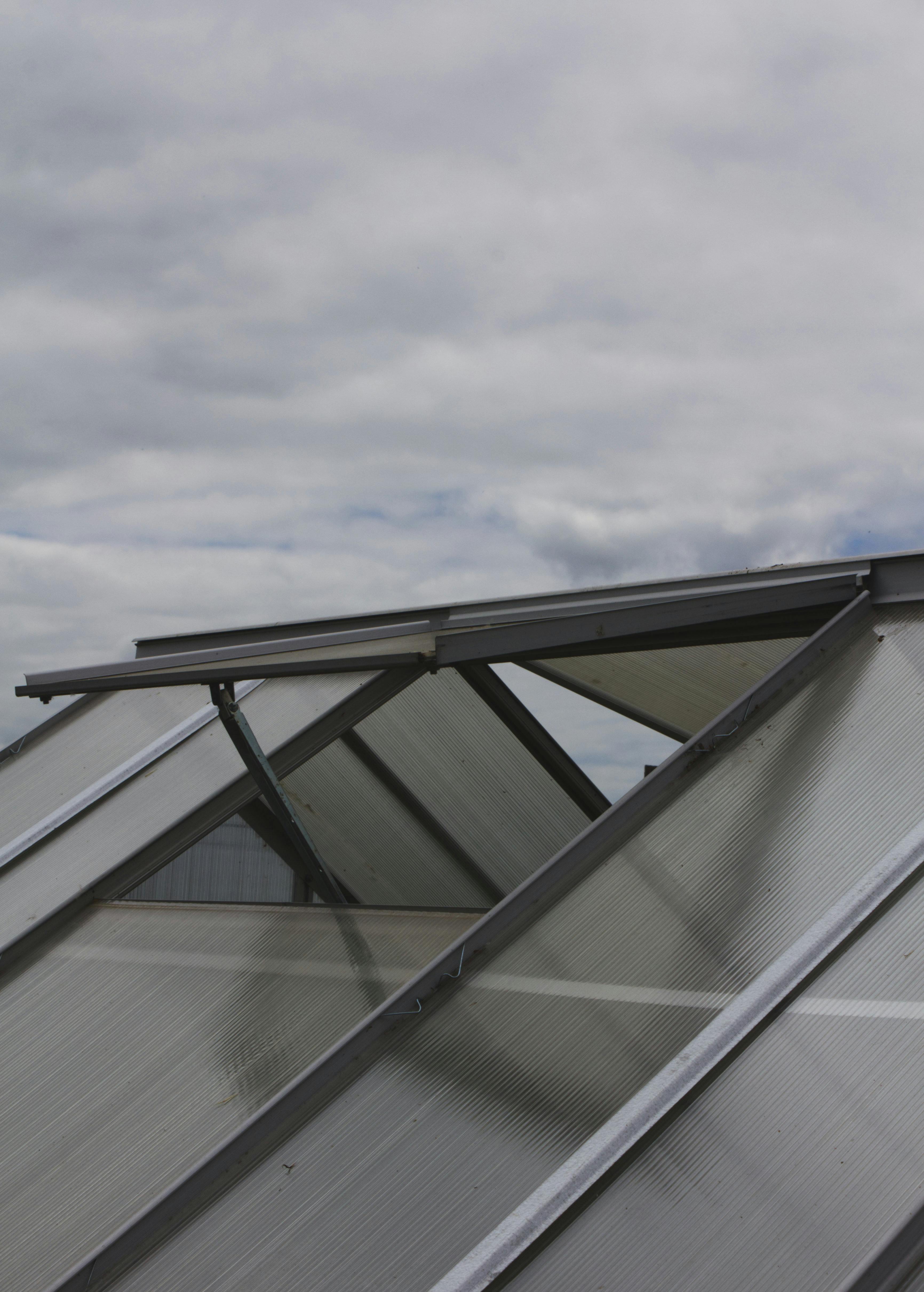 Linda Kokina - 摄影