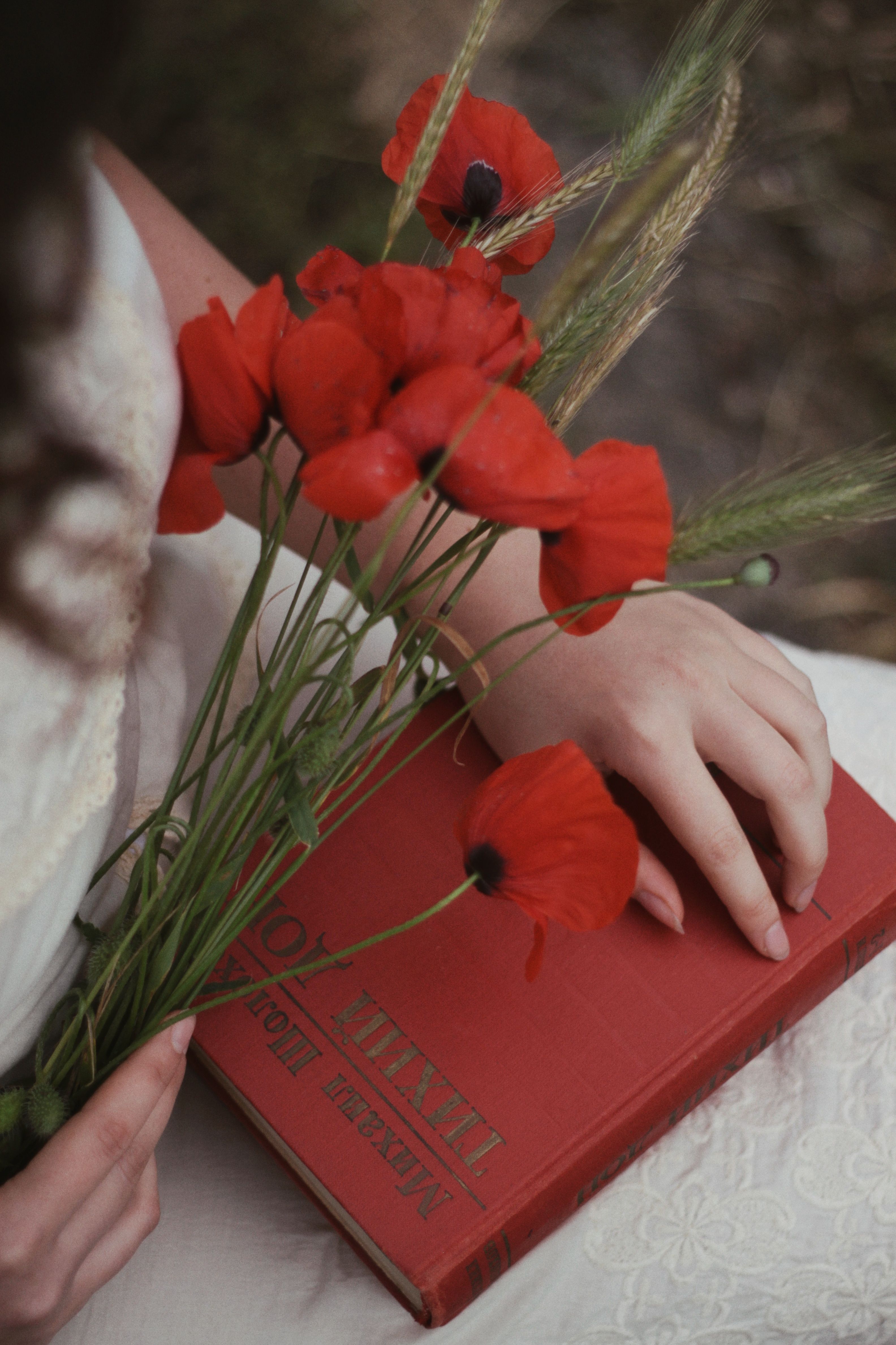 Woman Holding Poppy Flowers and a Book · Free Stock Photo
