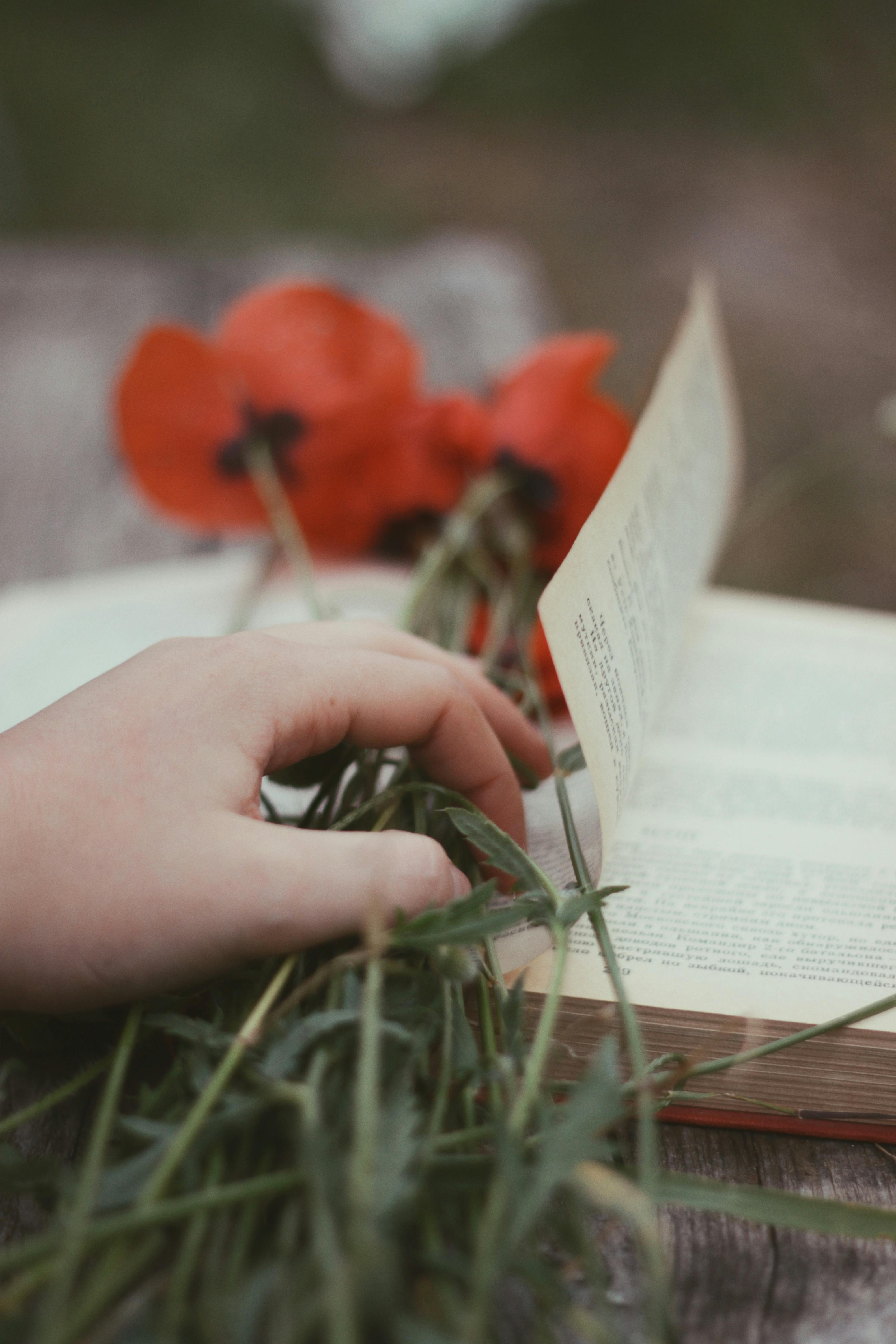 Close-Up Shot of a Person Touching a Book · Free Stock Photo