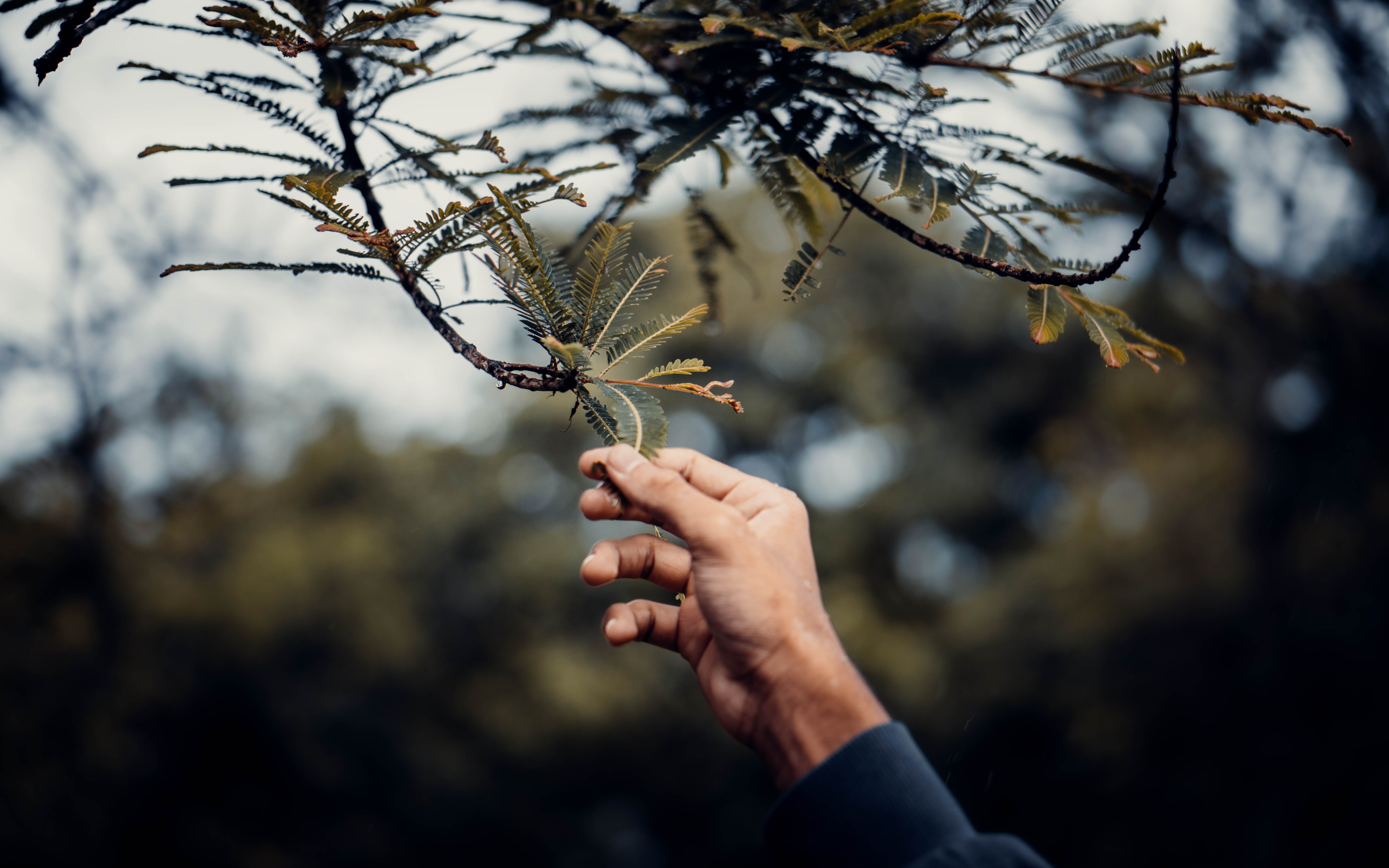 A Person Touching the Ground · Free Stock Photo