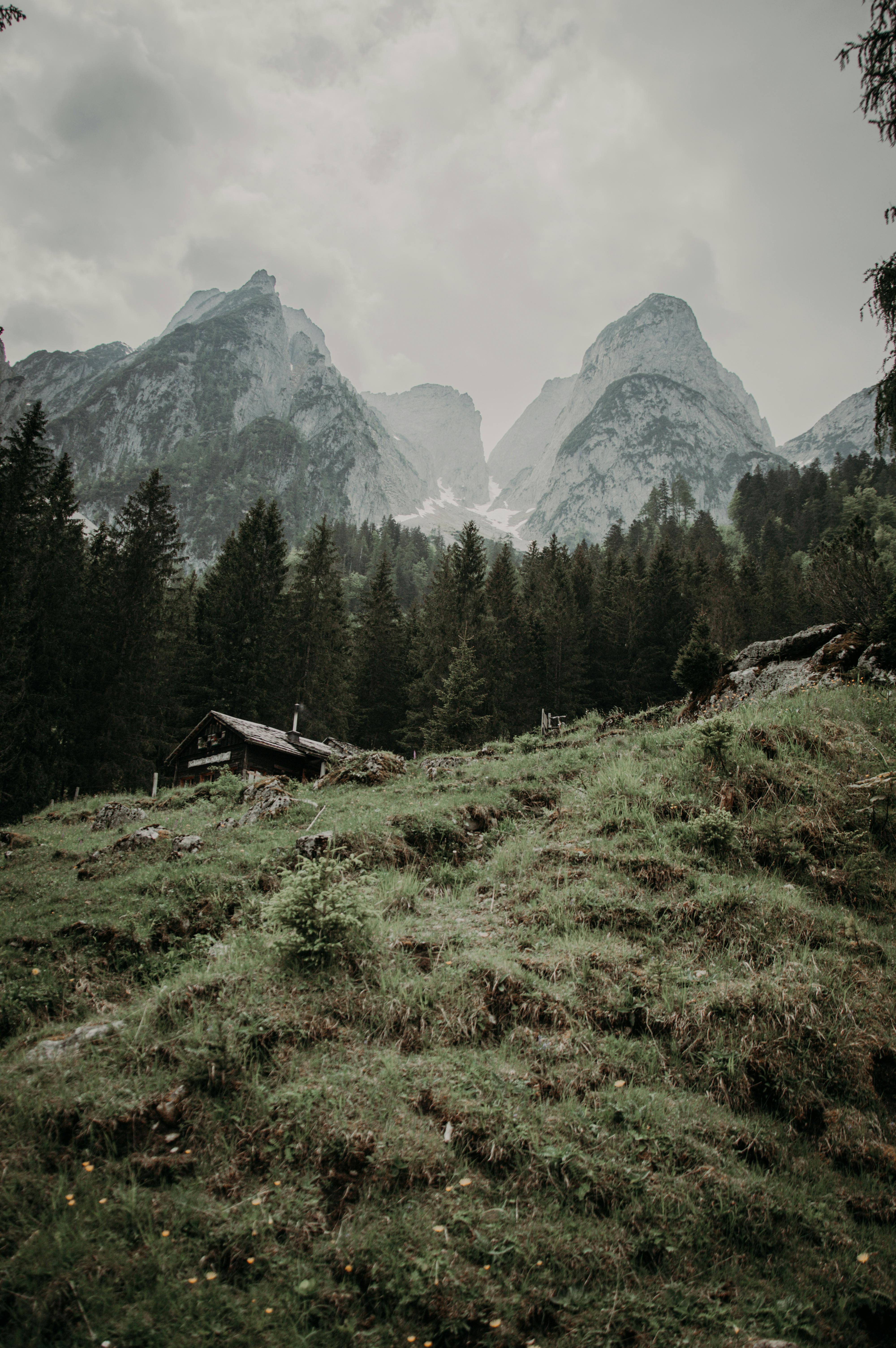 A Hill by the Forest with Mountains in the Background · Free Stock Photo