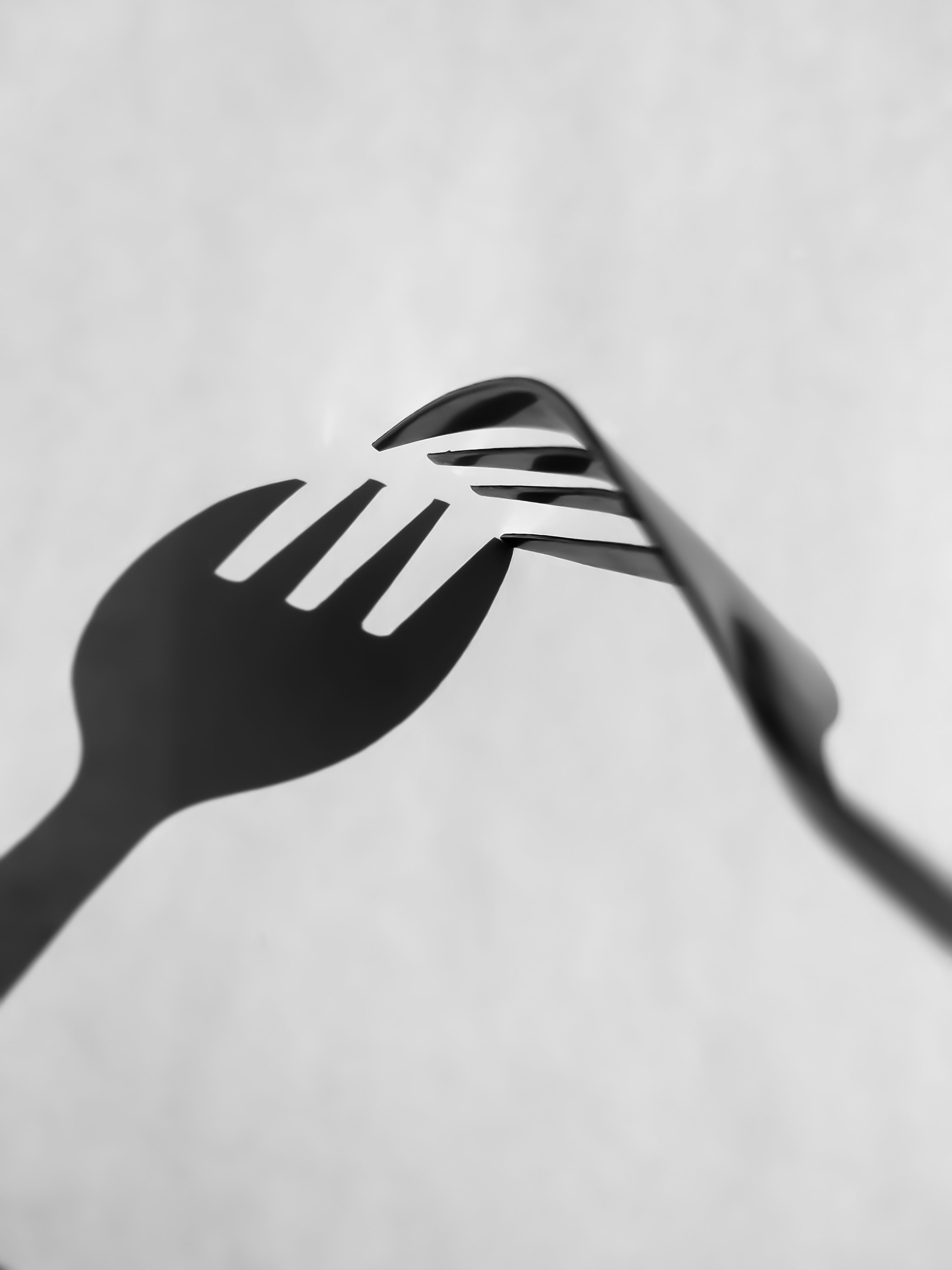 Fork With Shadows Photos, Download The BEST Free Fork With Shadows ...