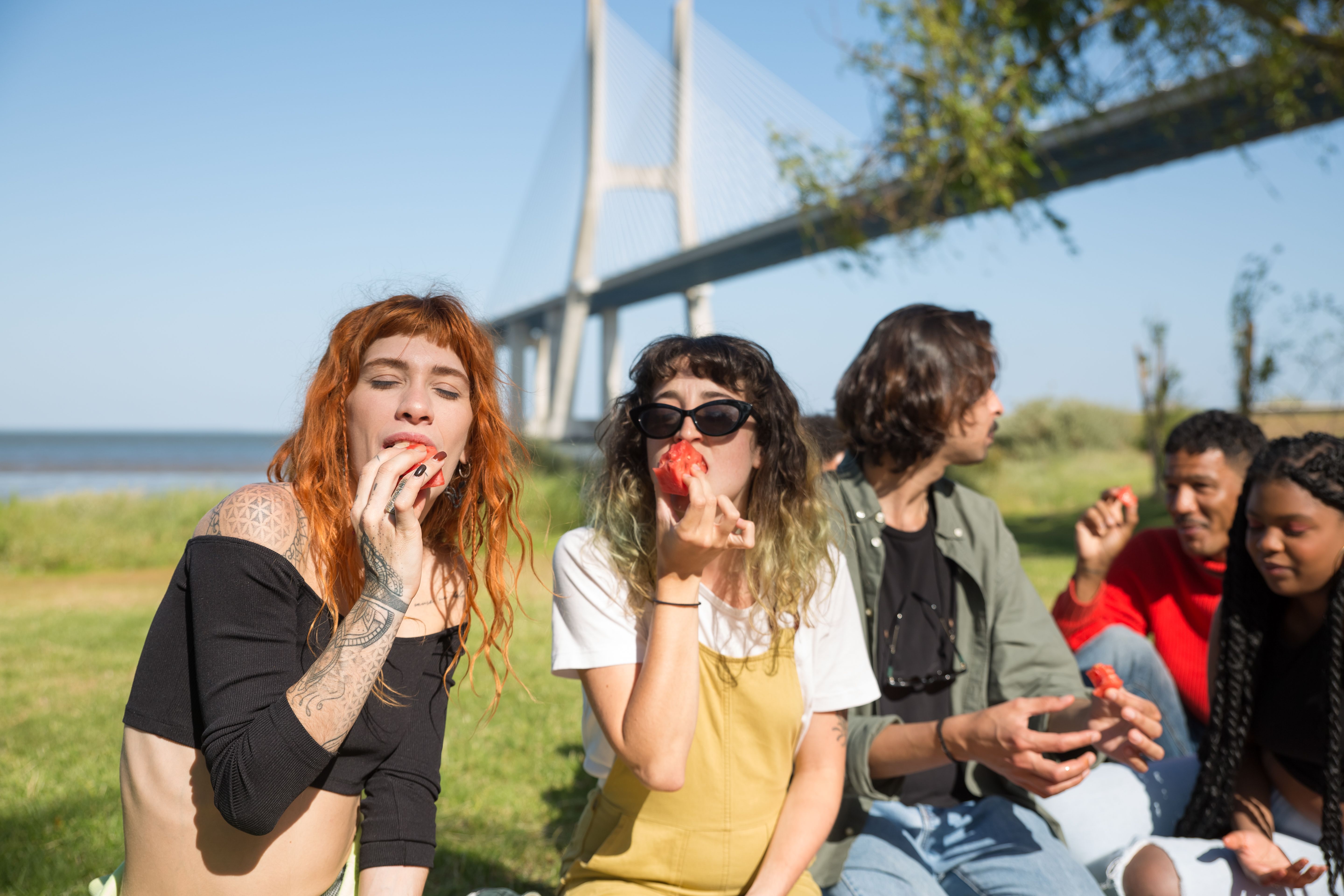 People Eating at the Picnic Ground · Free Stock Photo