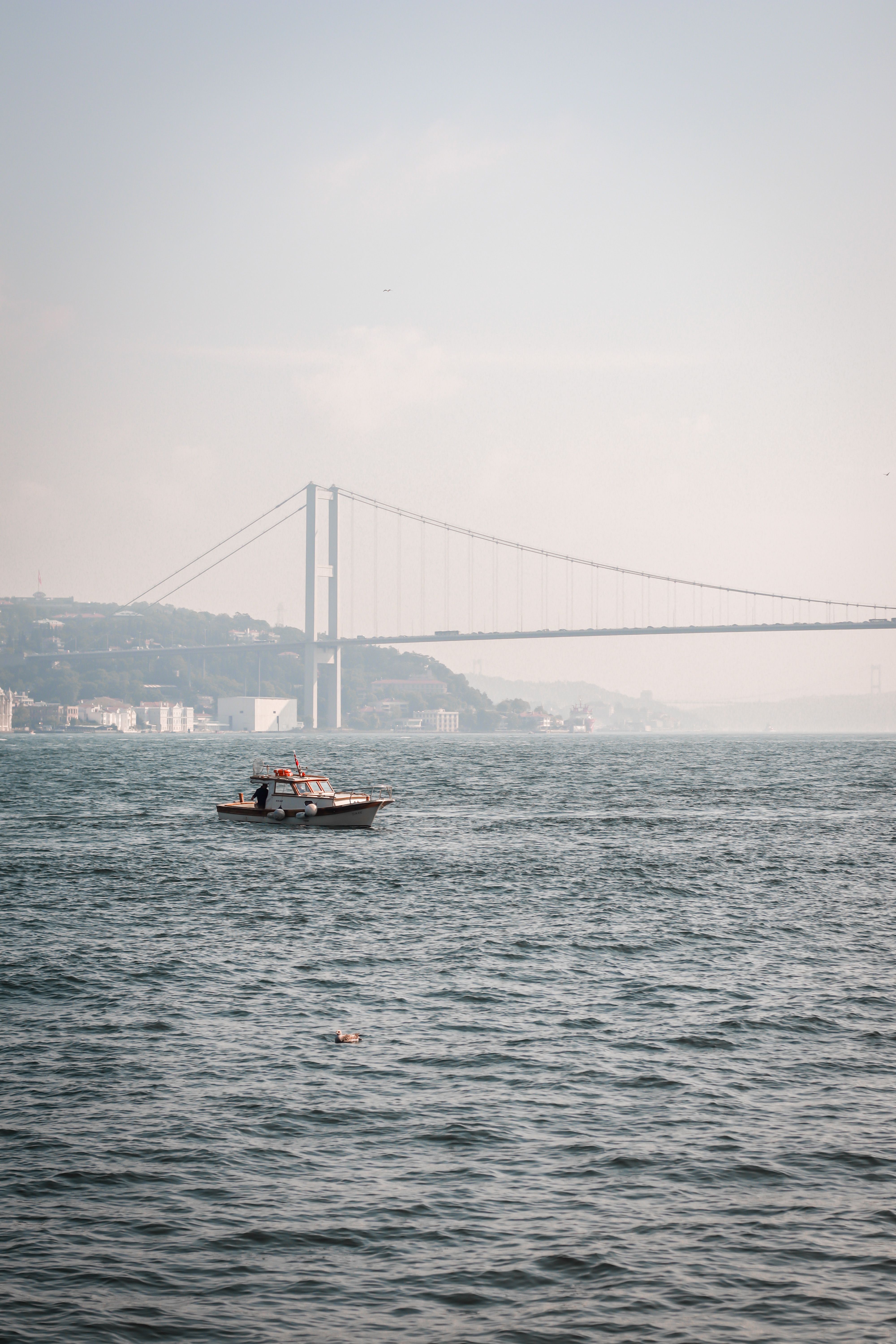 15 Mb Photos, Download The BEST Free 15 Mb Stock Photos & HD Images
