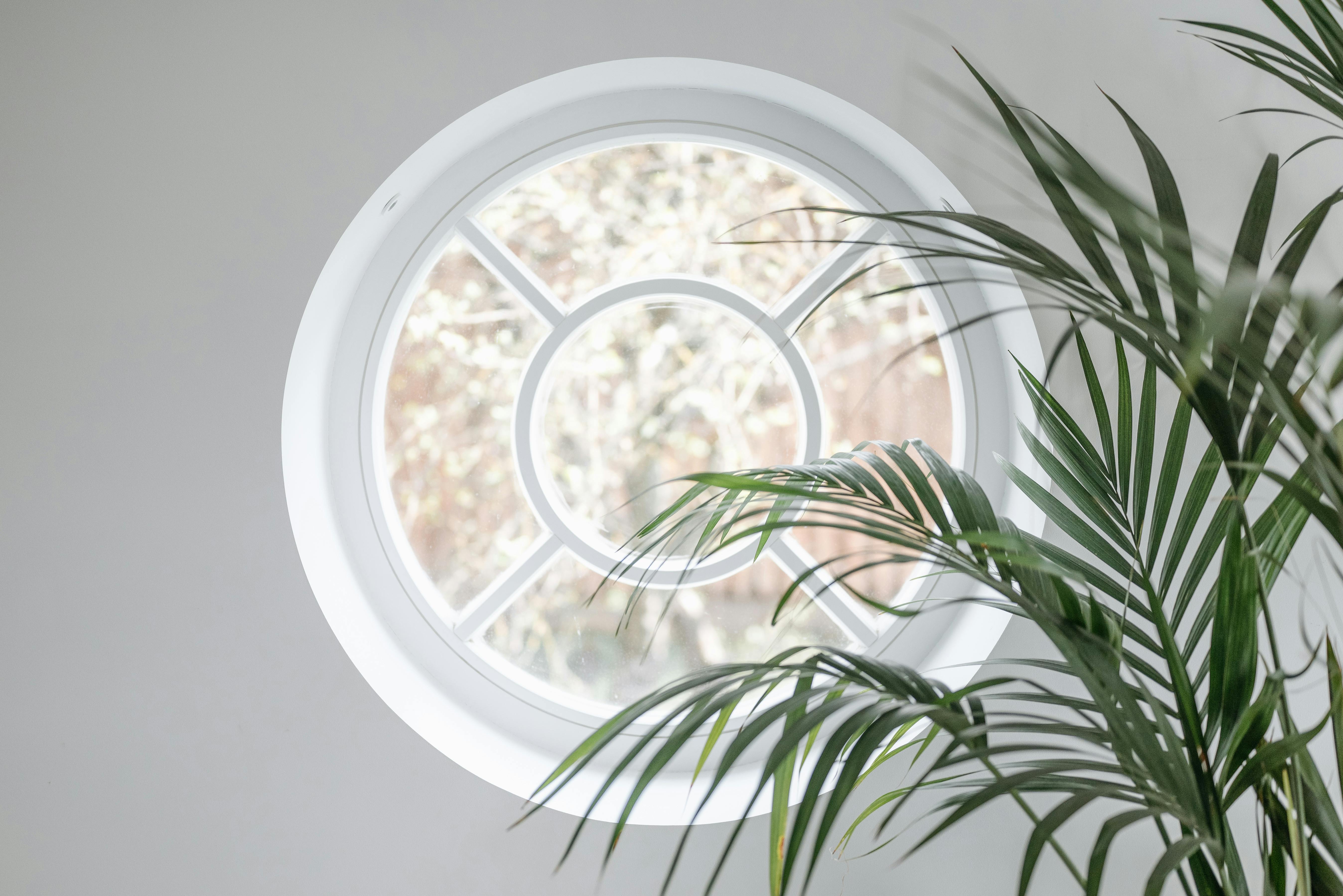 Green Plant Near Round Window · Free Stock Photo
