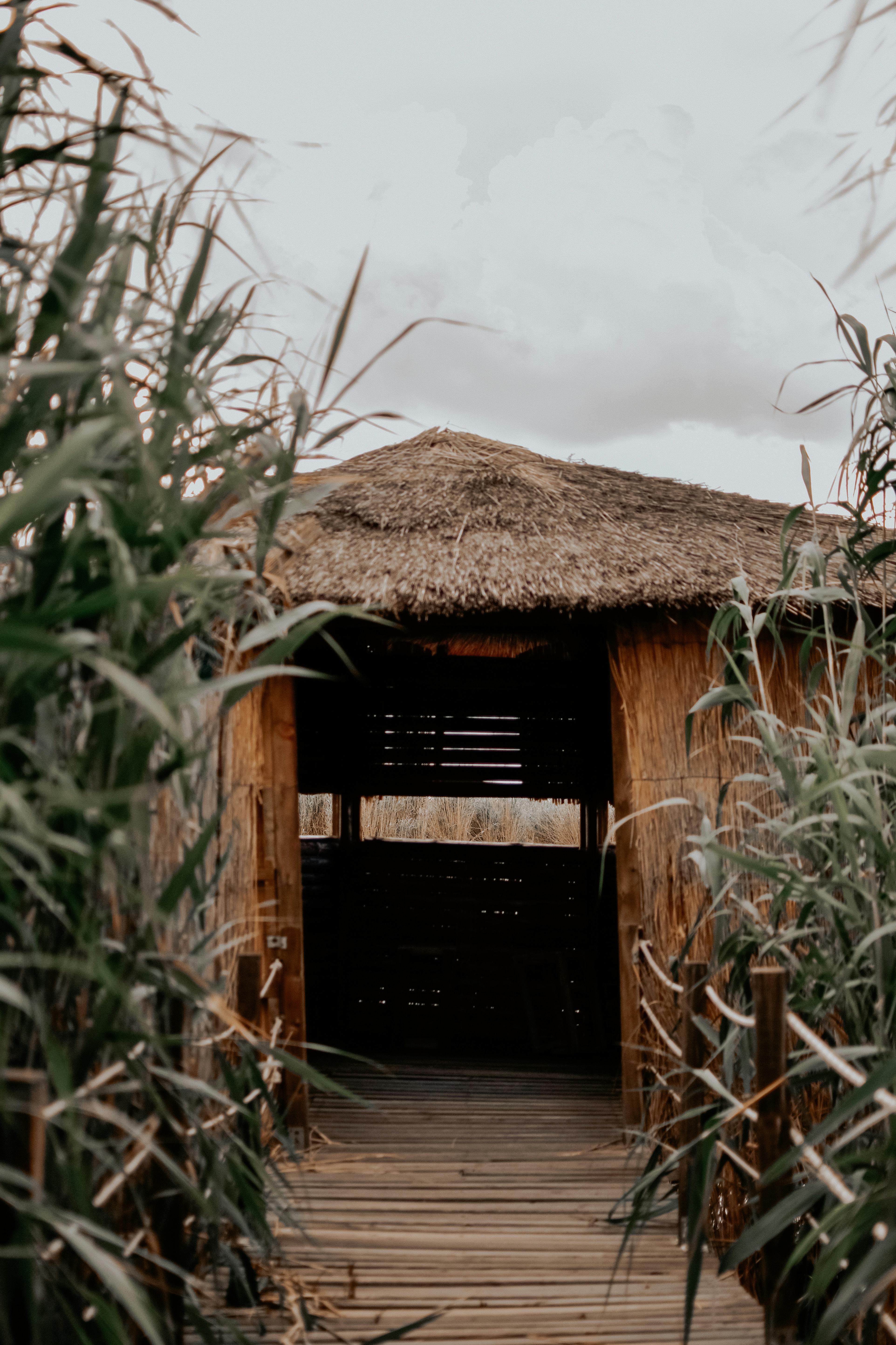 Straw Hut with a Thatched Roof on a Pier · Free Stock Photo