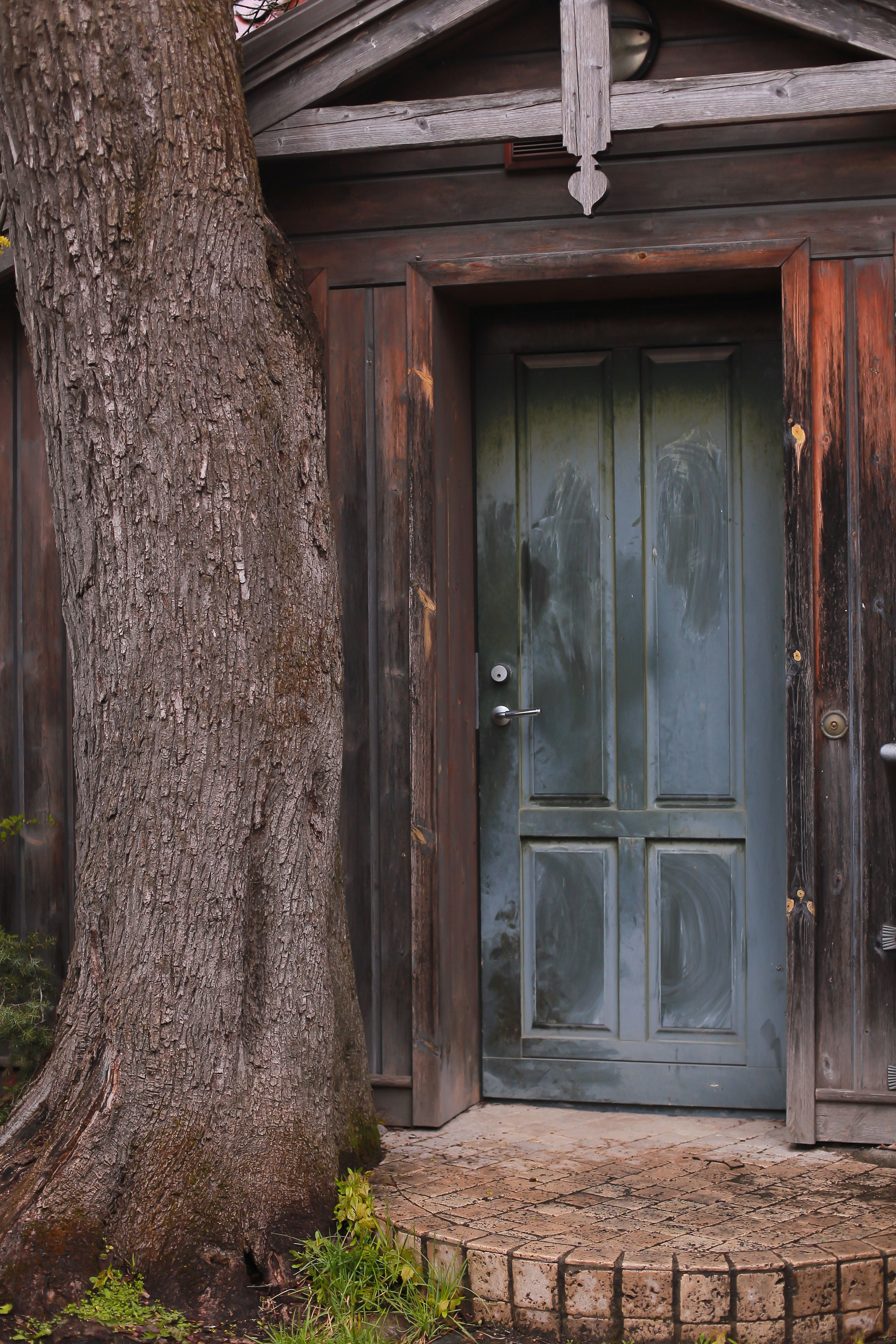 A Wooden House with Wooden Door Near the Tree Trunk · Free Stock Photo
