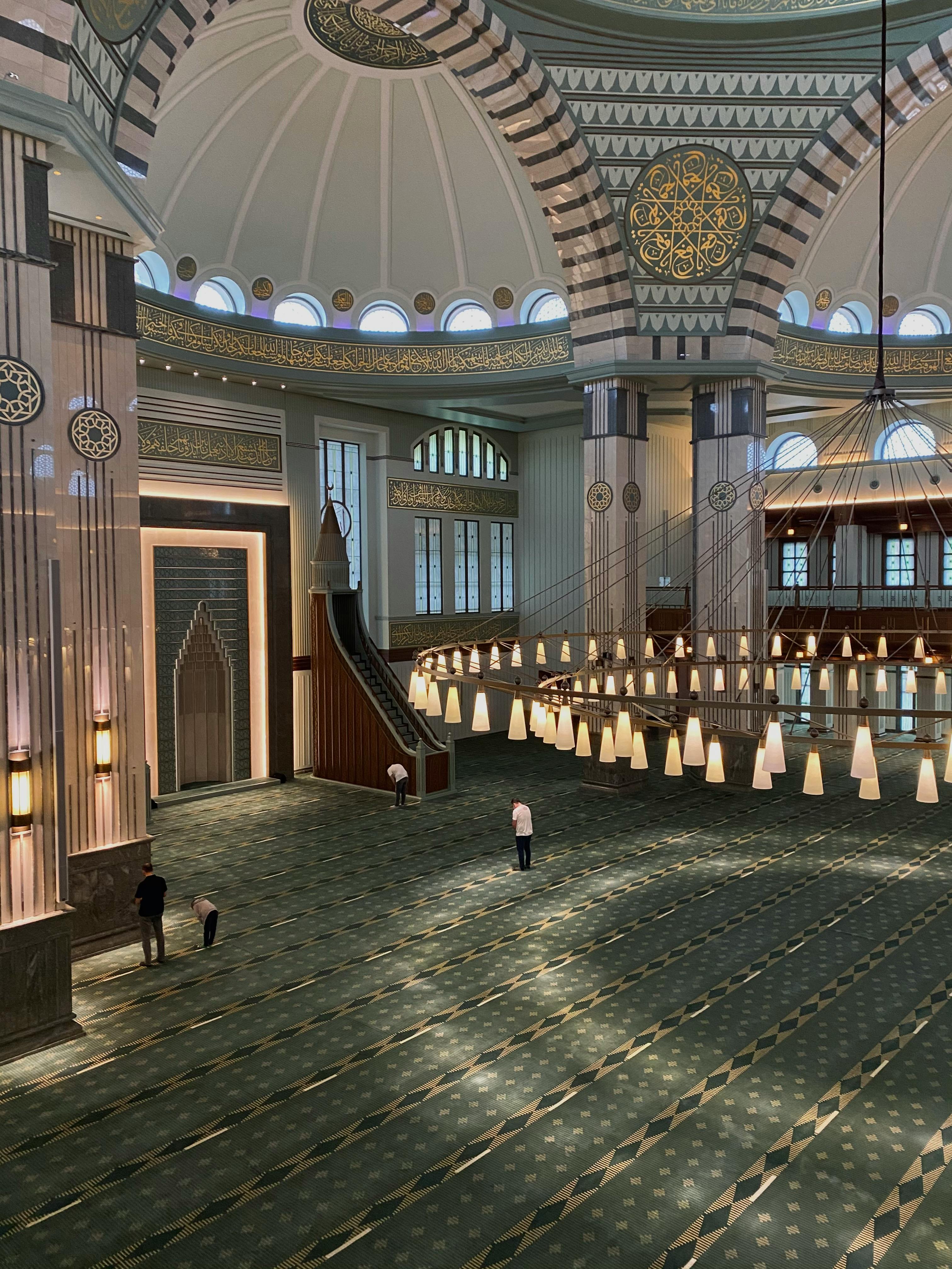 Millets Photos, Download The BEST Free Millets Stock Photos & HD Images