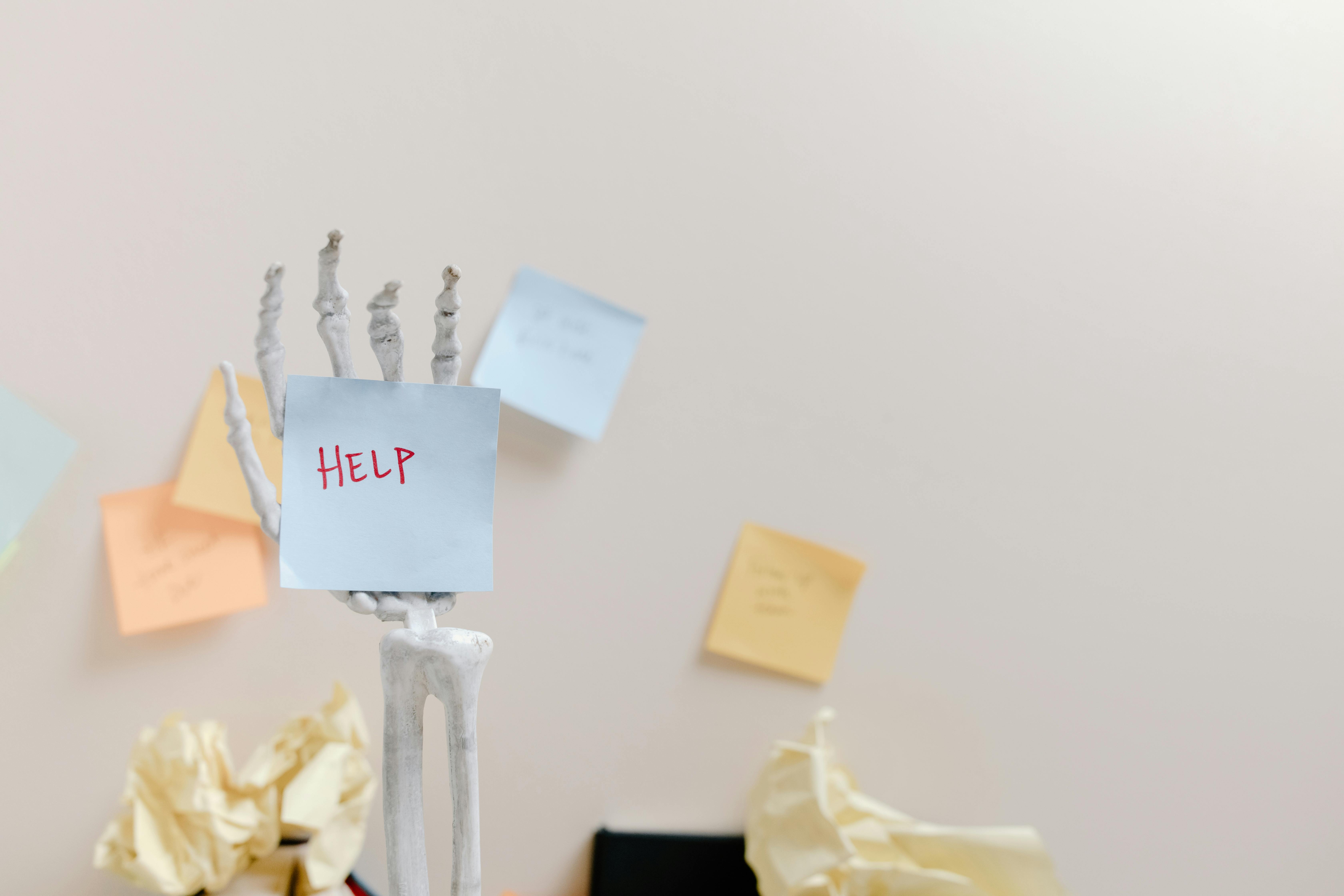 A Sticky Note on a Skeleton Hand · Free Stock Photo