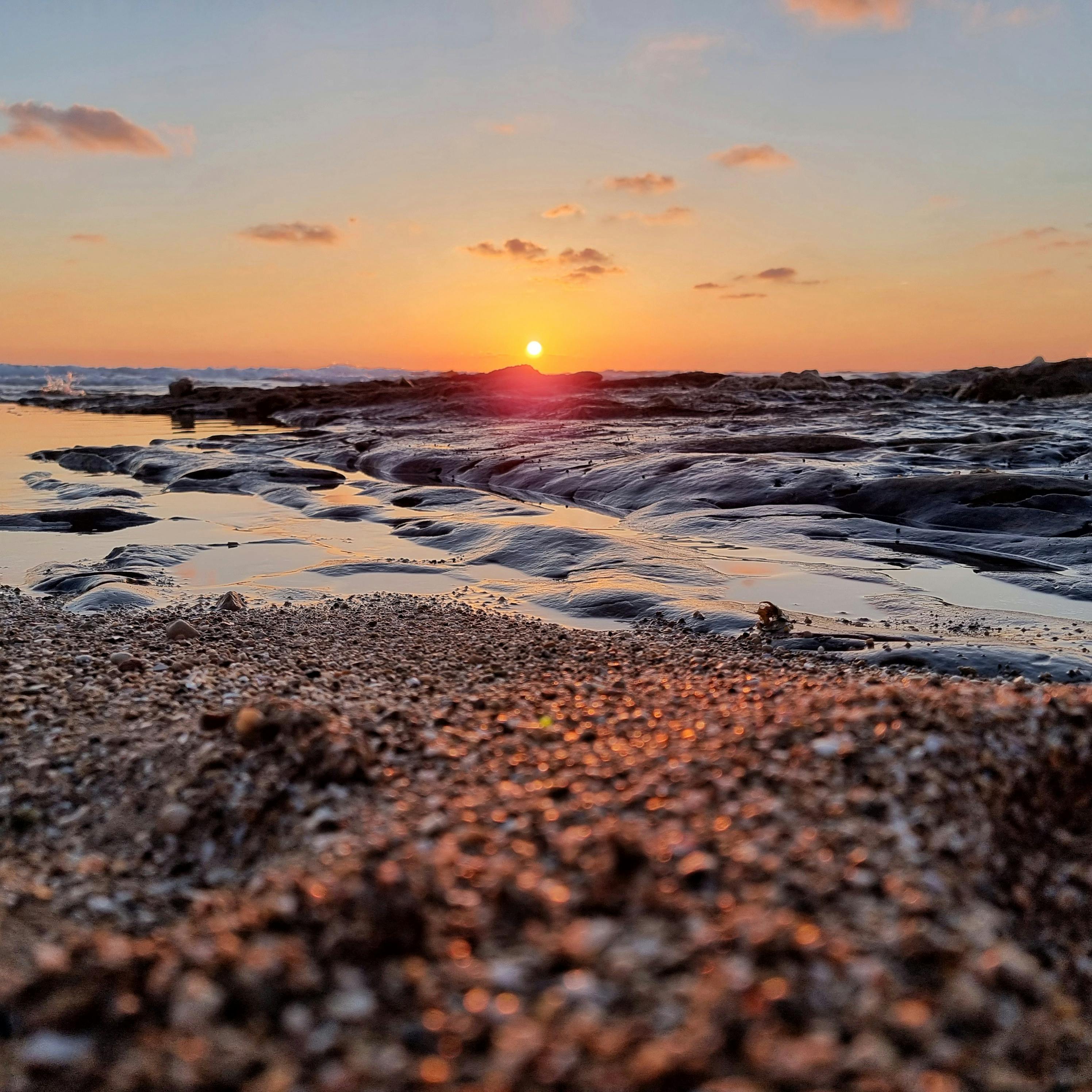 Andrey Koval - 写真