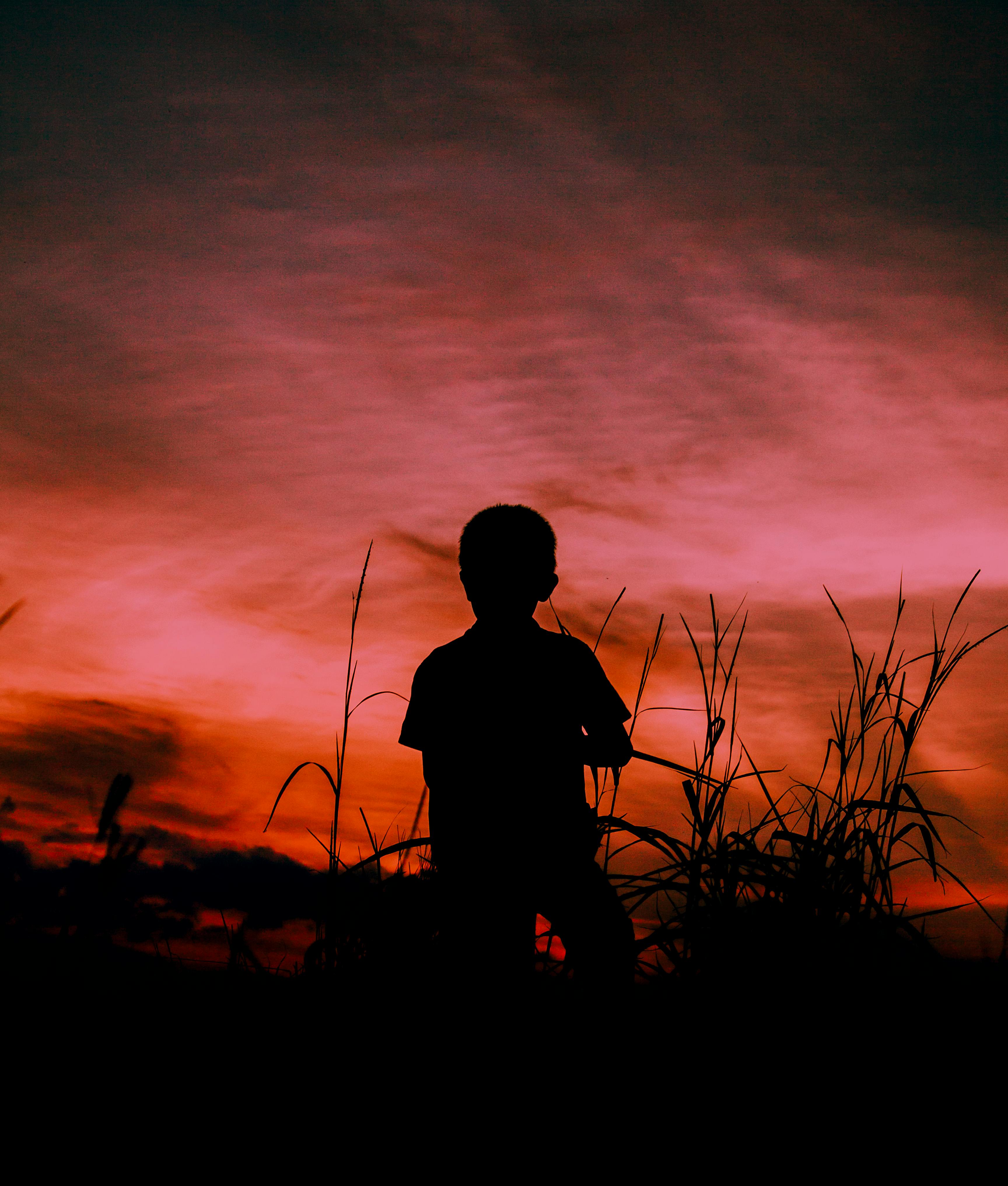 Free stock photo of boy, sunset
