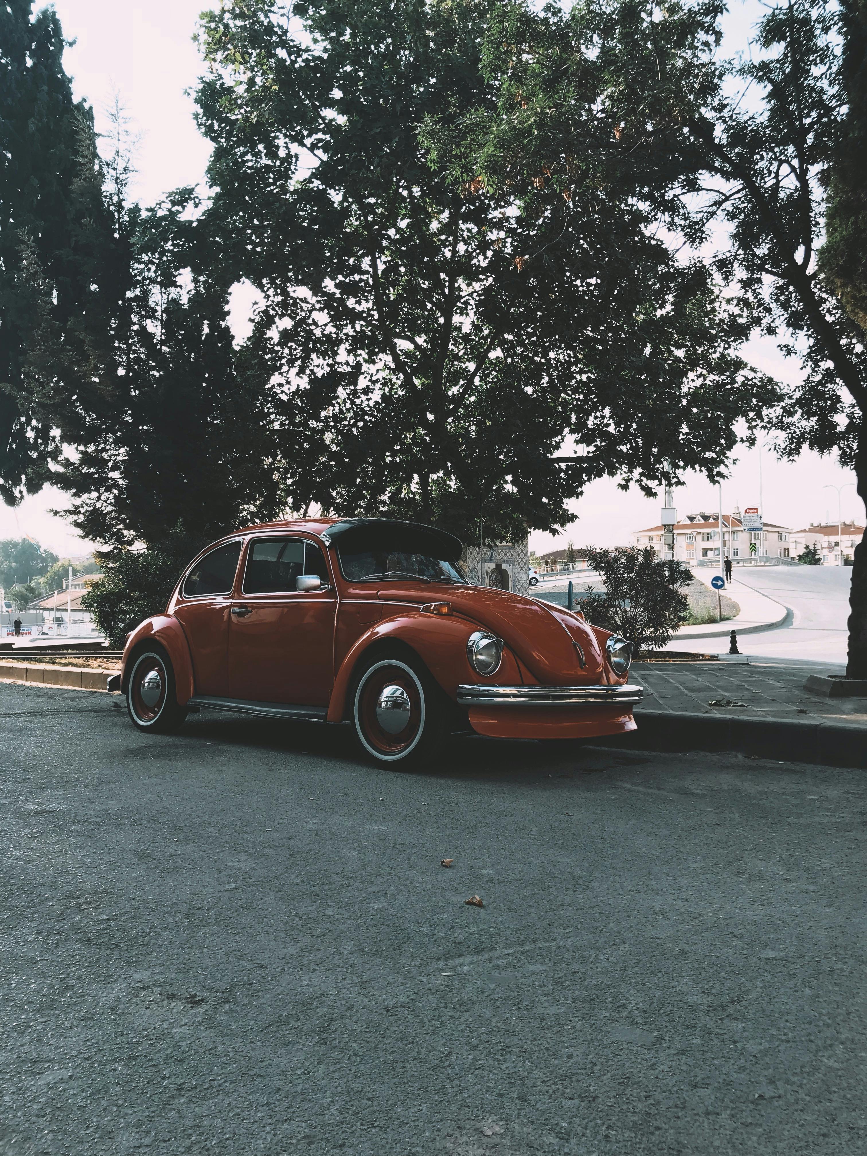 Orange Volkswagen Beetle Parked on Side of the Road Near Trees · Free ...