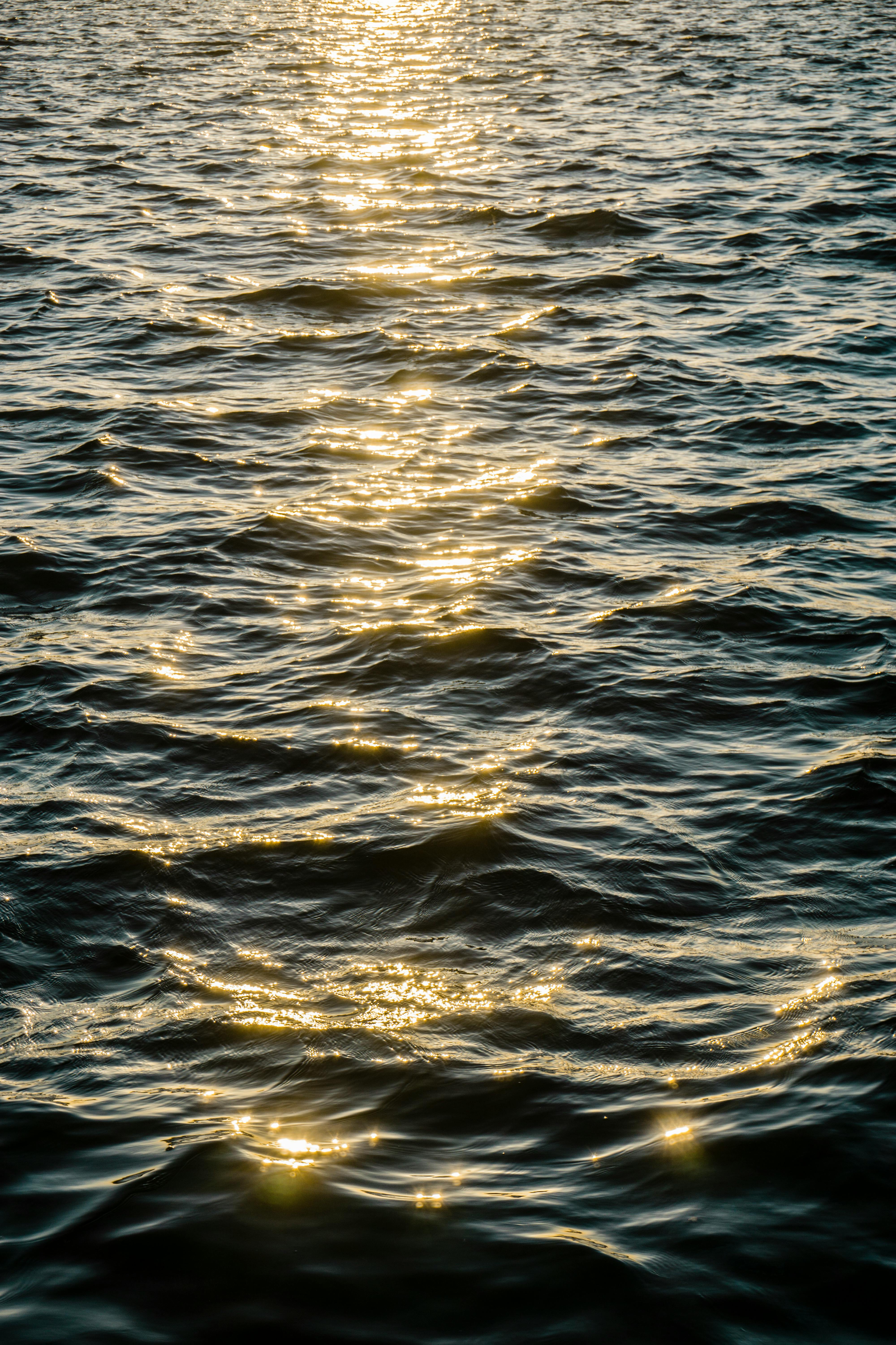 Sunlight over Water · Free Stock Photo