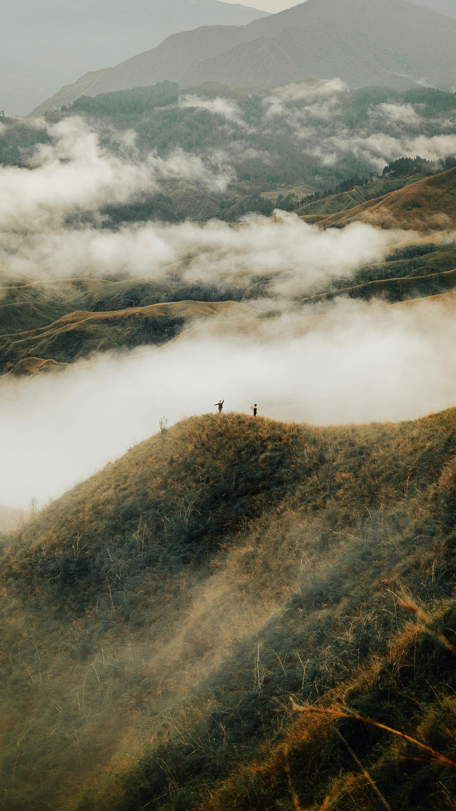 Fog Texture Photos, Download The BEST Free Fog Texture Stock Photos ...