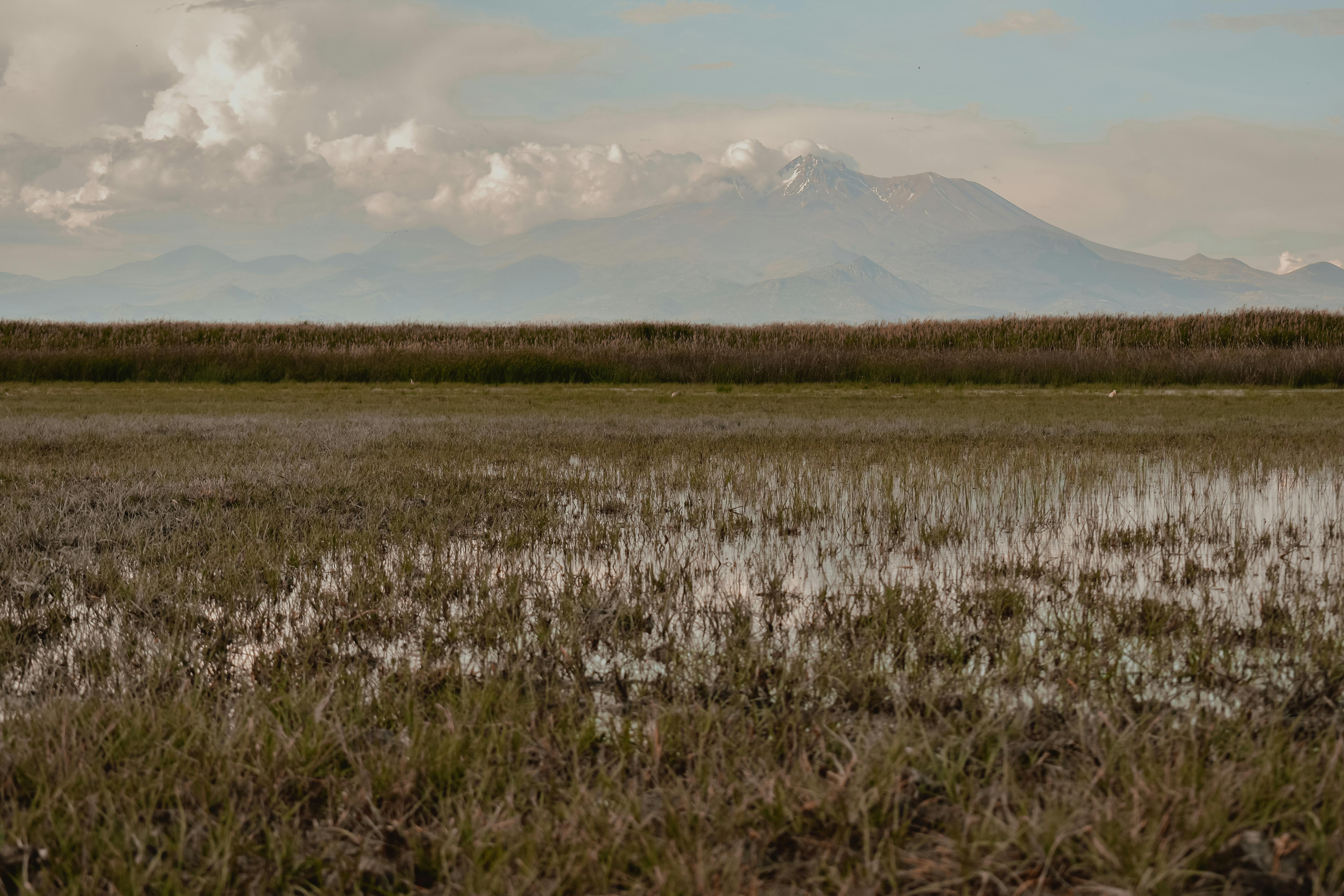 Swamp Mountain Photos, Download The BEST Free Swamp Mountain Stock ...