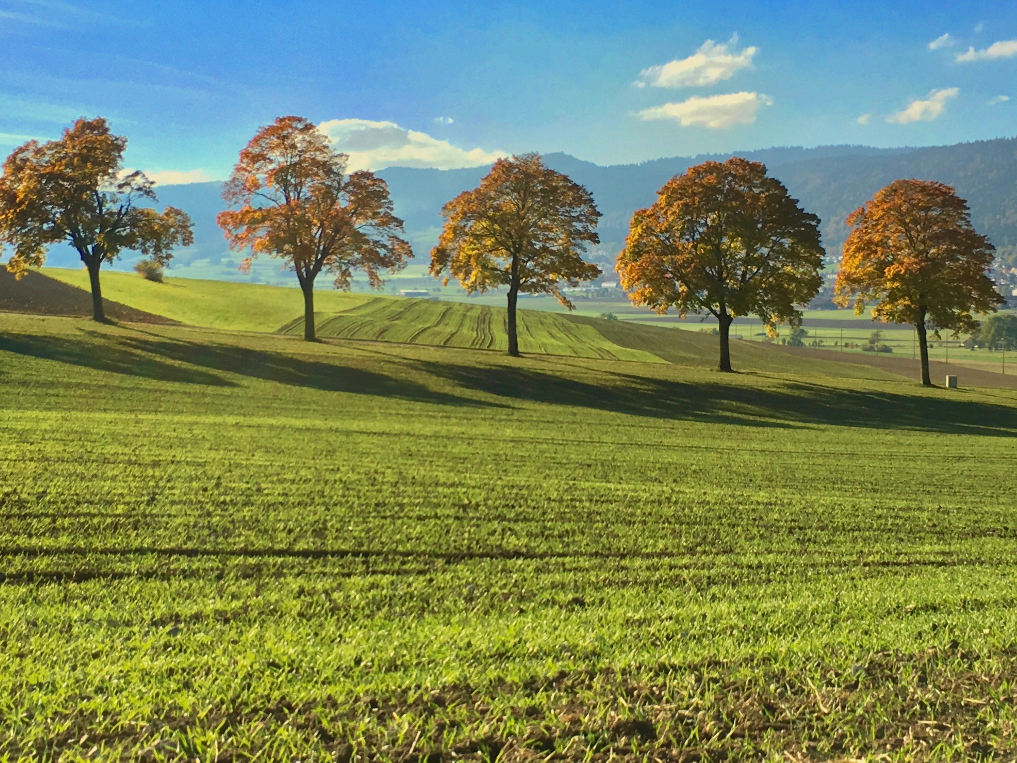 Vegetación 19 Photos & Videos Collected by Alex CA