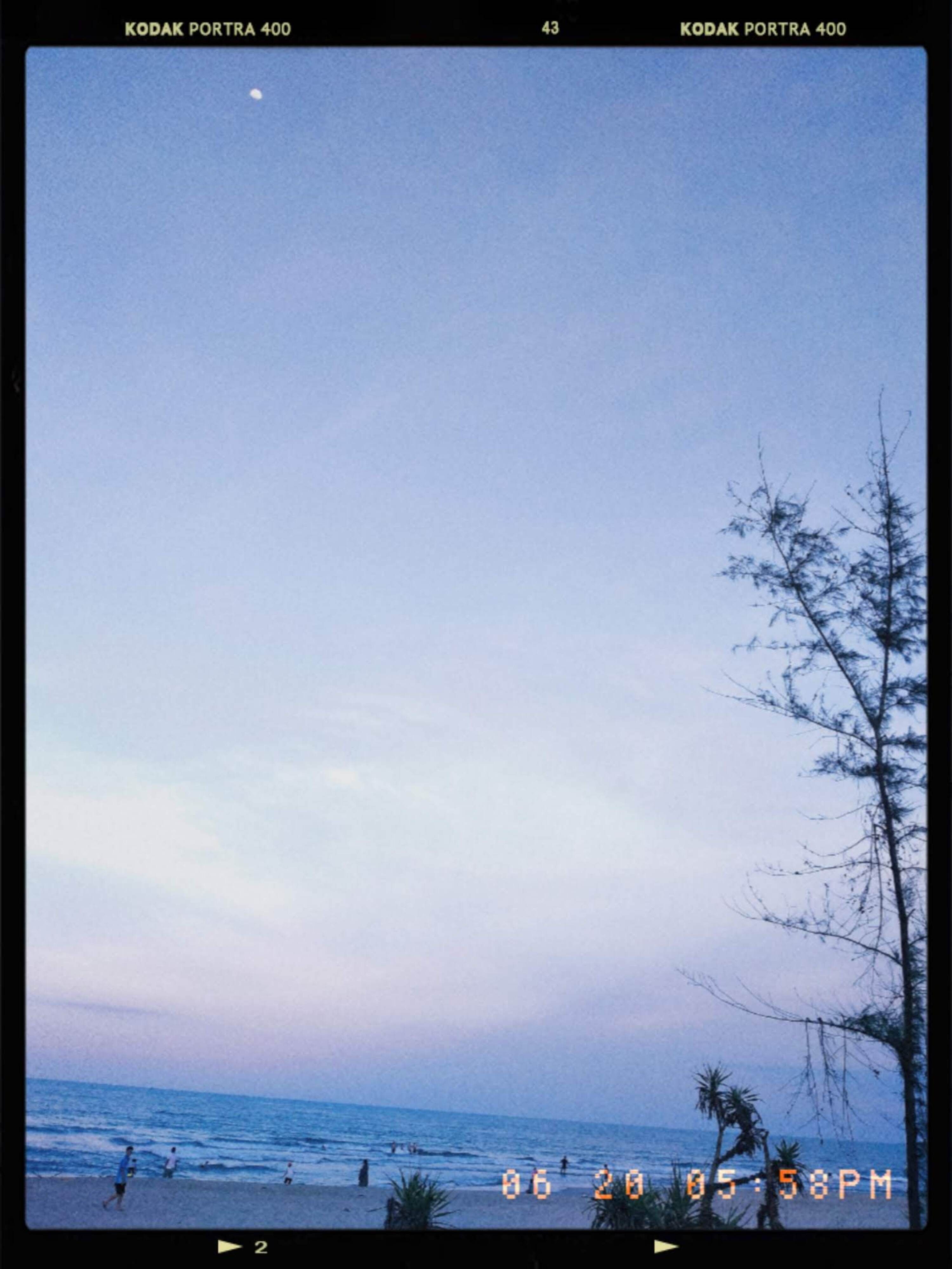Steel Pillars on a Seashore · Free Stock Photo