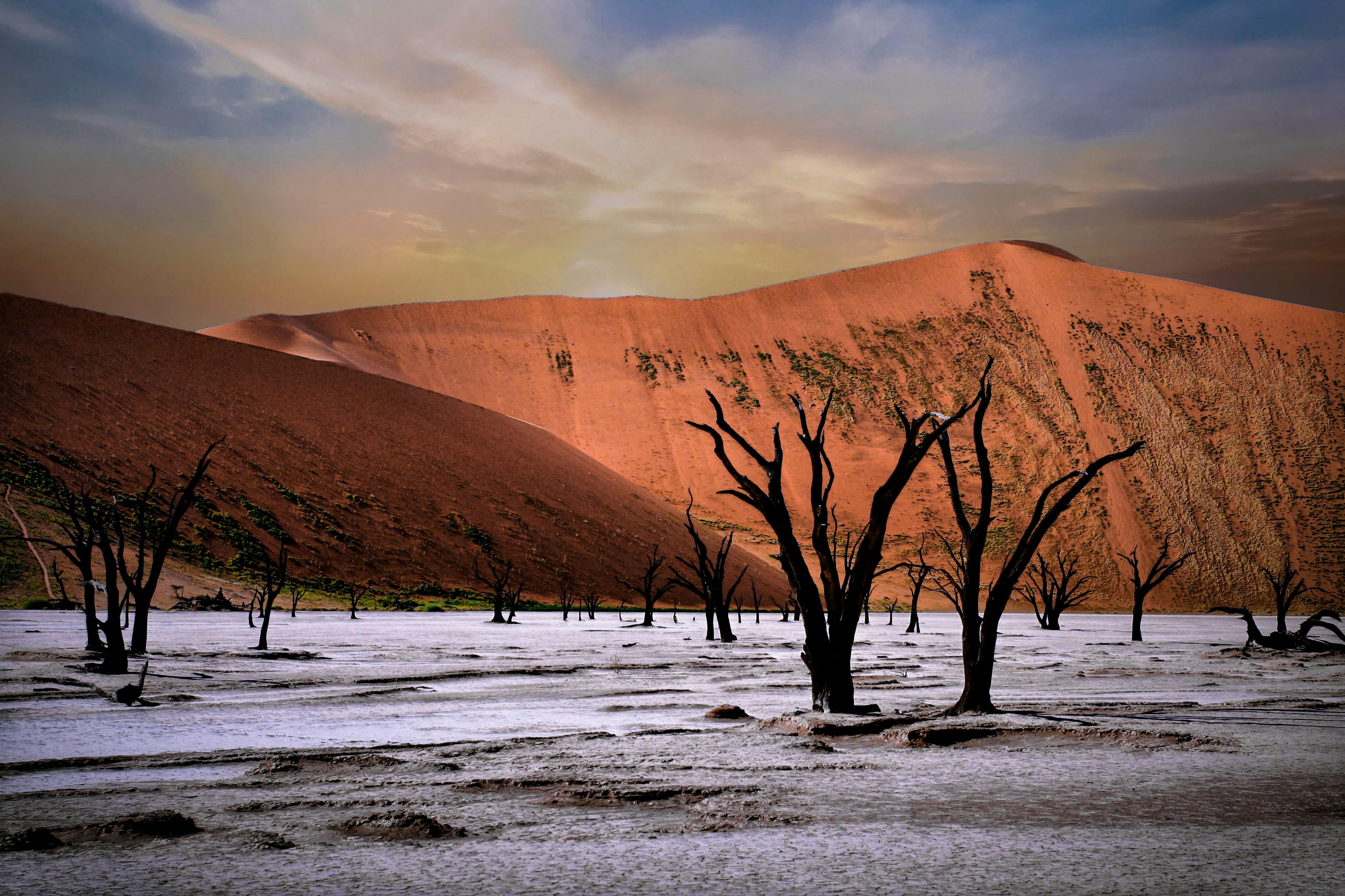 Dead Planet Photos, Download The BEST Free Dead Planet Stock Photos ...