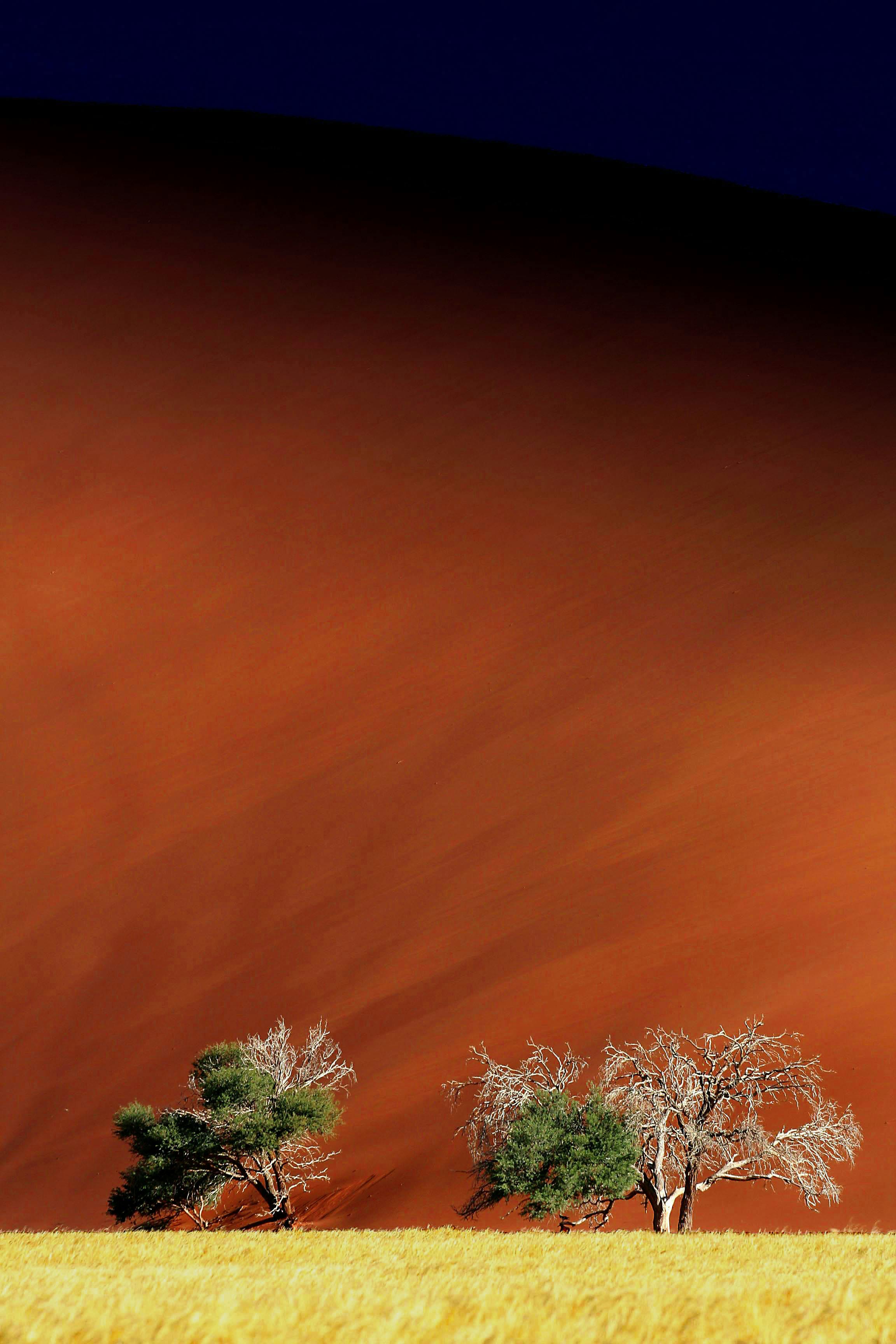 Scorched Ground Surface · Free Stock Photo