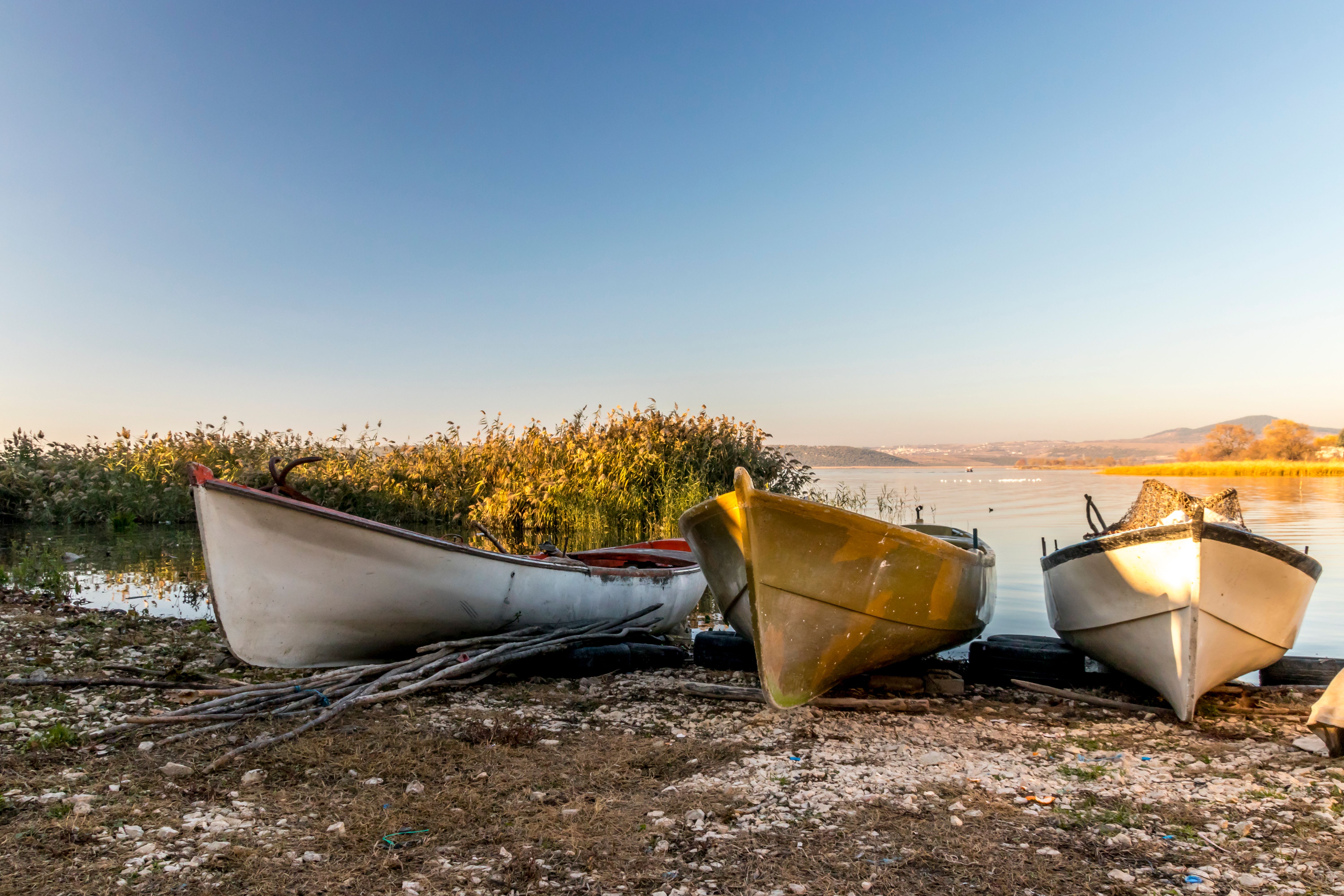 Fishing Boats on the Ground Near Water · Free Stock Photo
