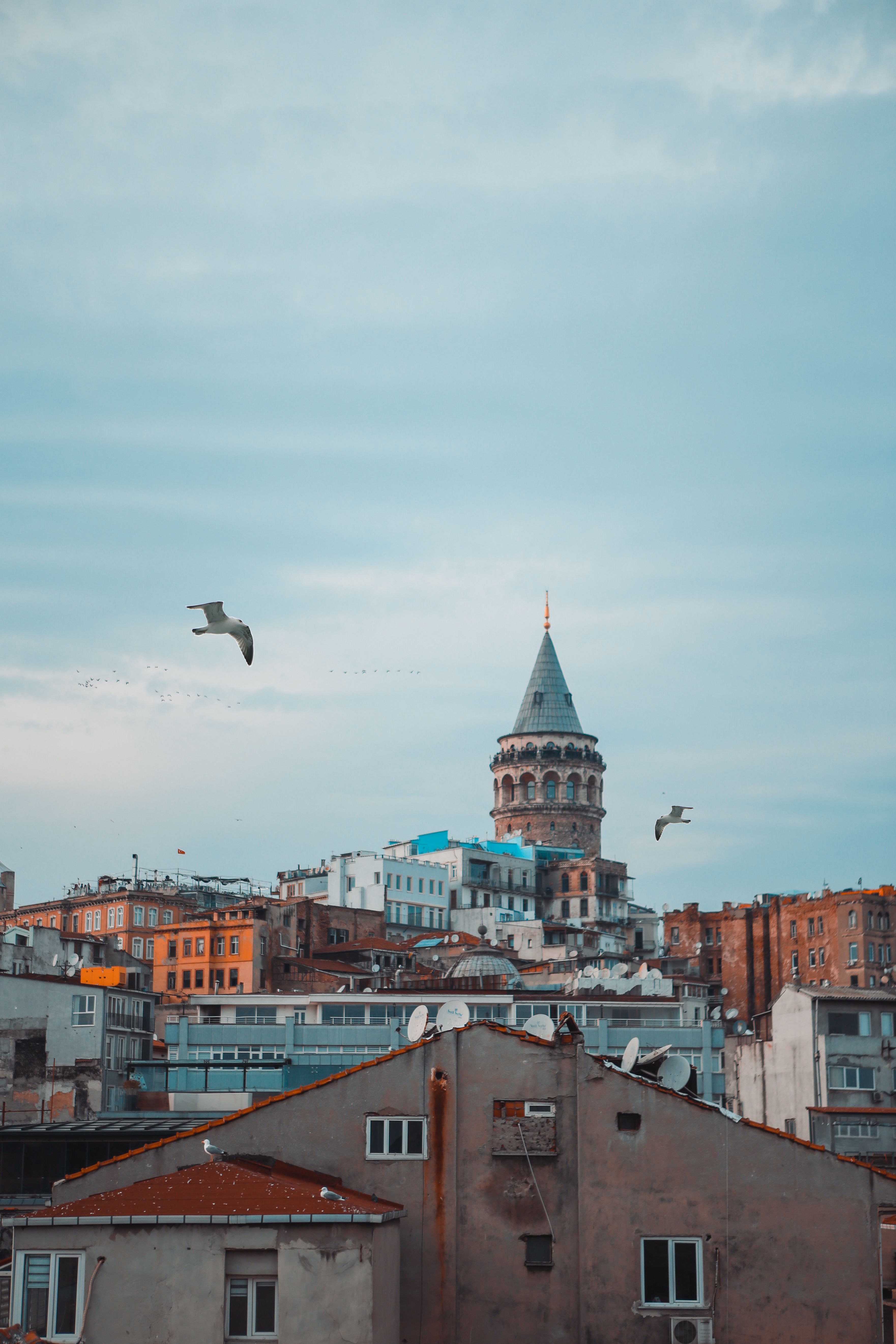 Aerial View of City Skyline · Free Stock Photo