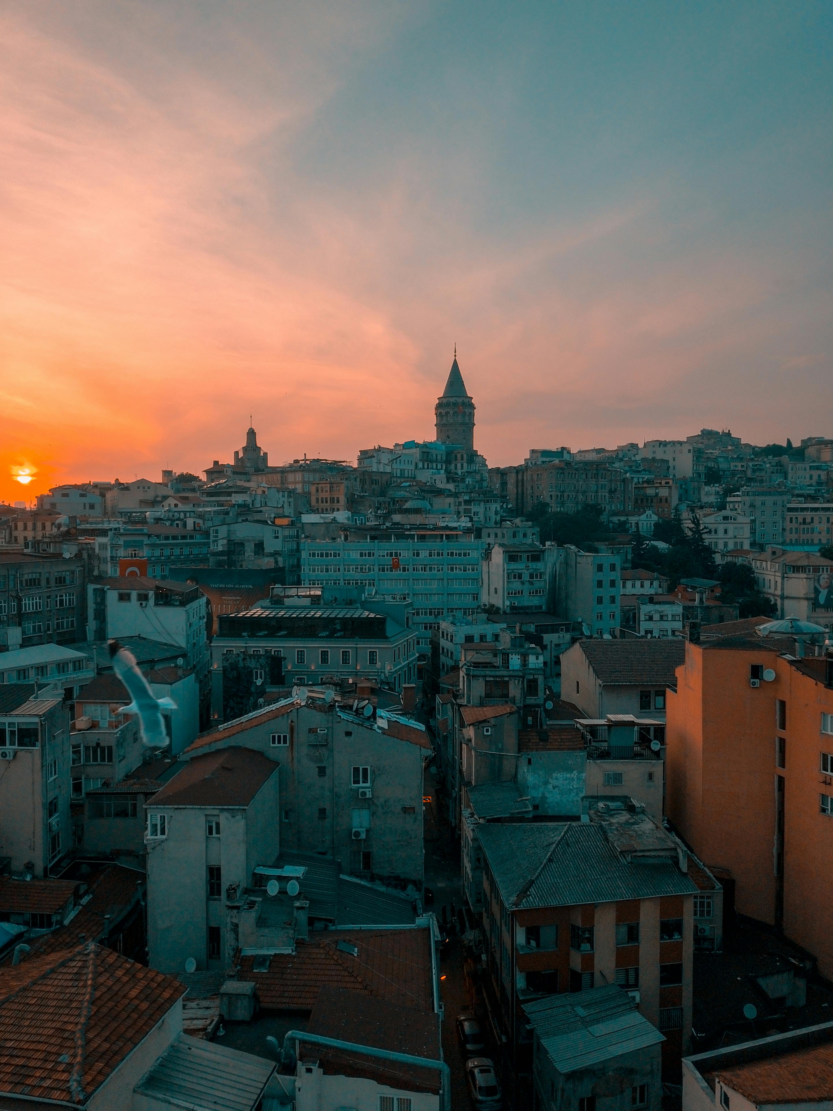 Domes and Minarets of Middle Eastern City · Free Stock Photo