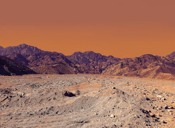 Creative Color - Pexels