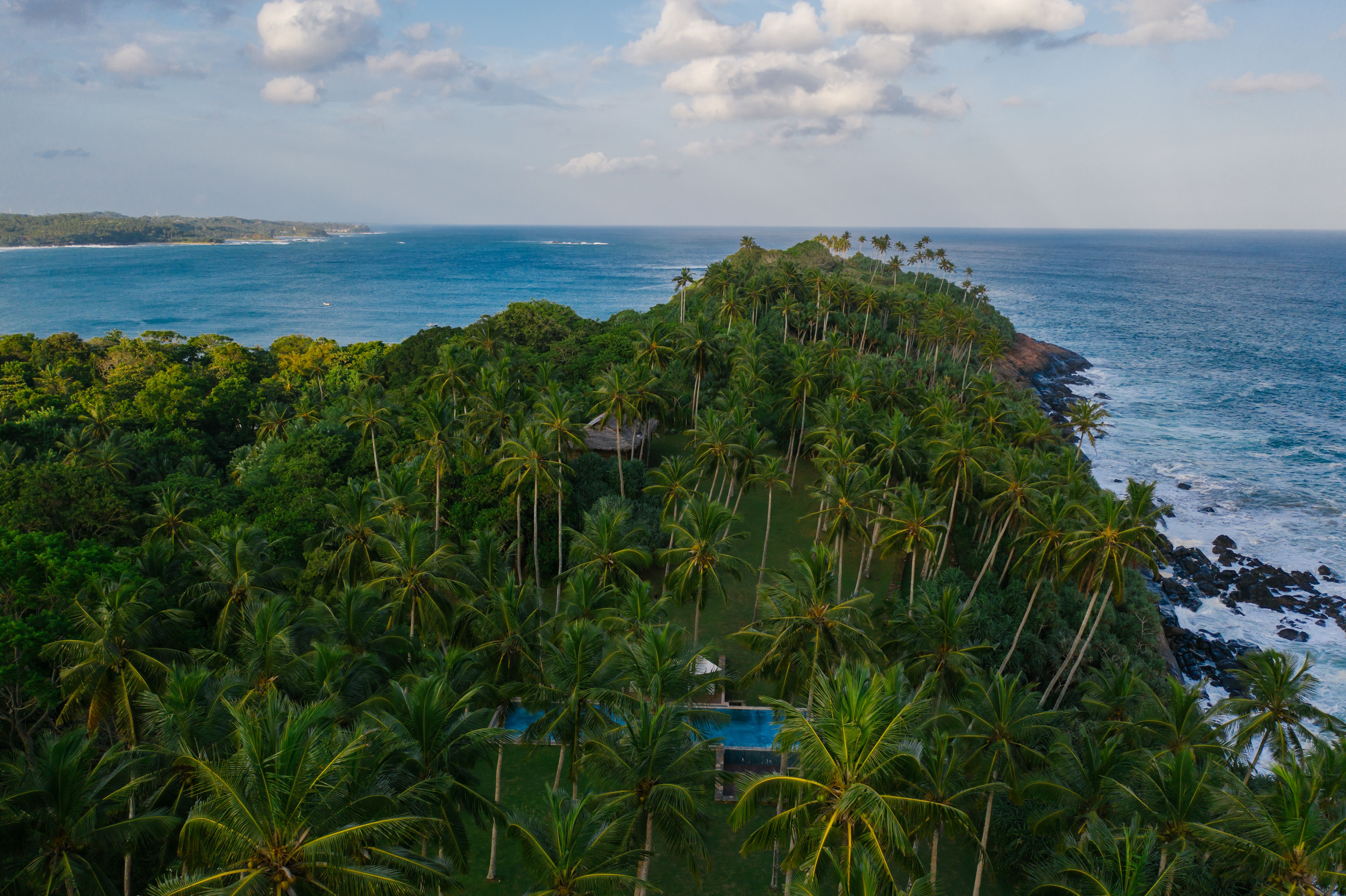 An Island Covered with Green Trees · Free Stock Photo