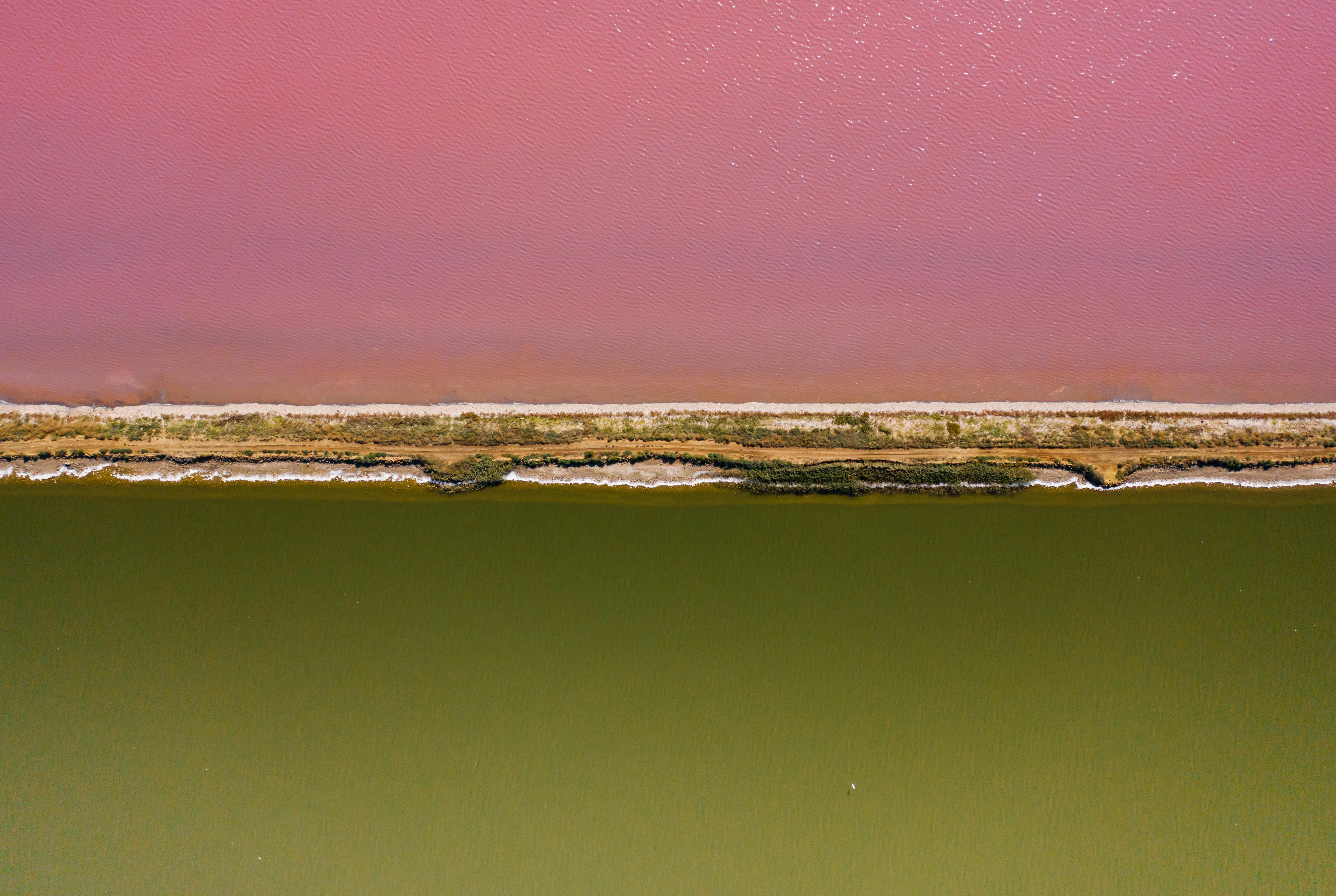 Pink Toilet Water: Causes & Solutions Explained