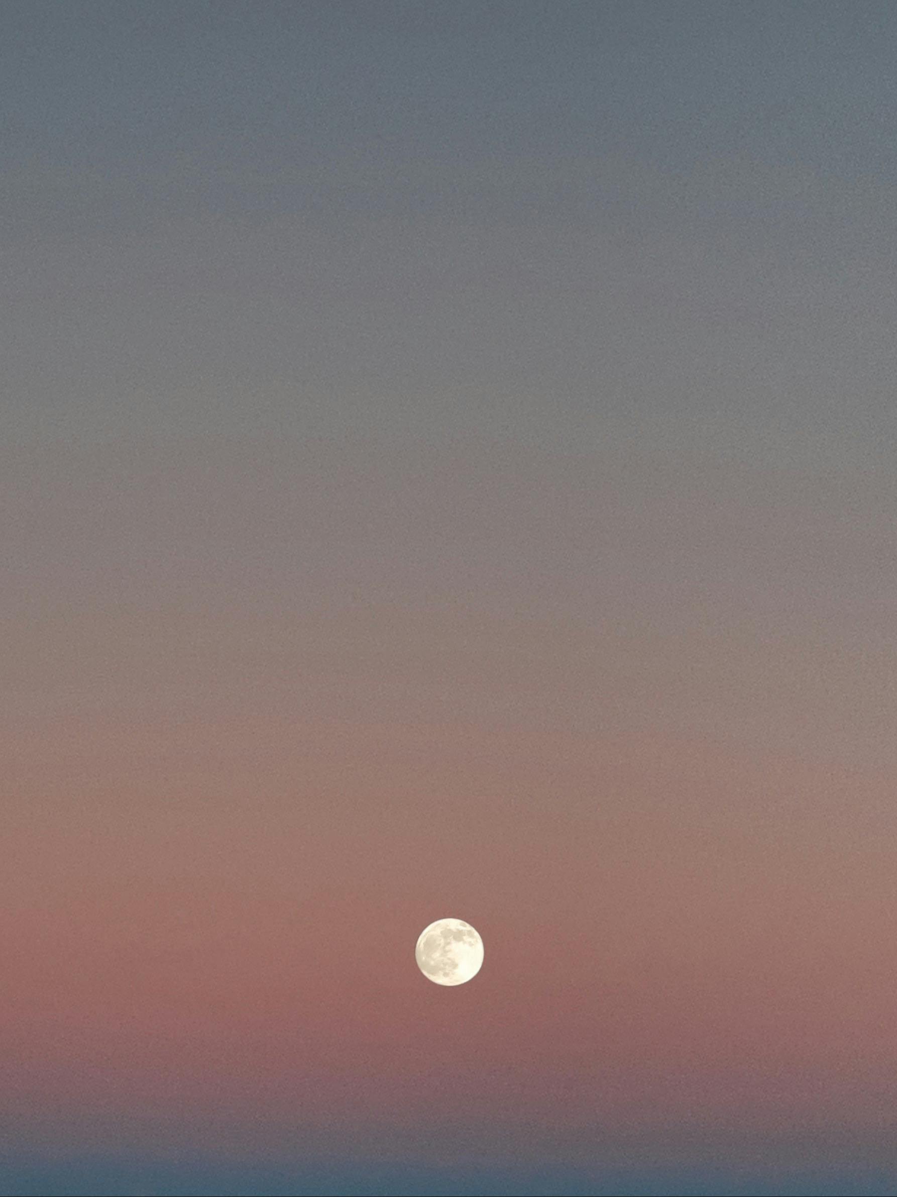 Full Moon in Evening Sky after Sunset · Free Stock Photo
