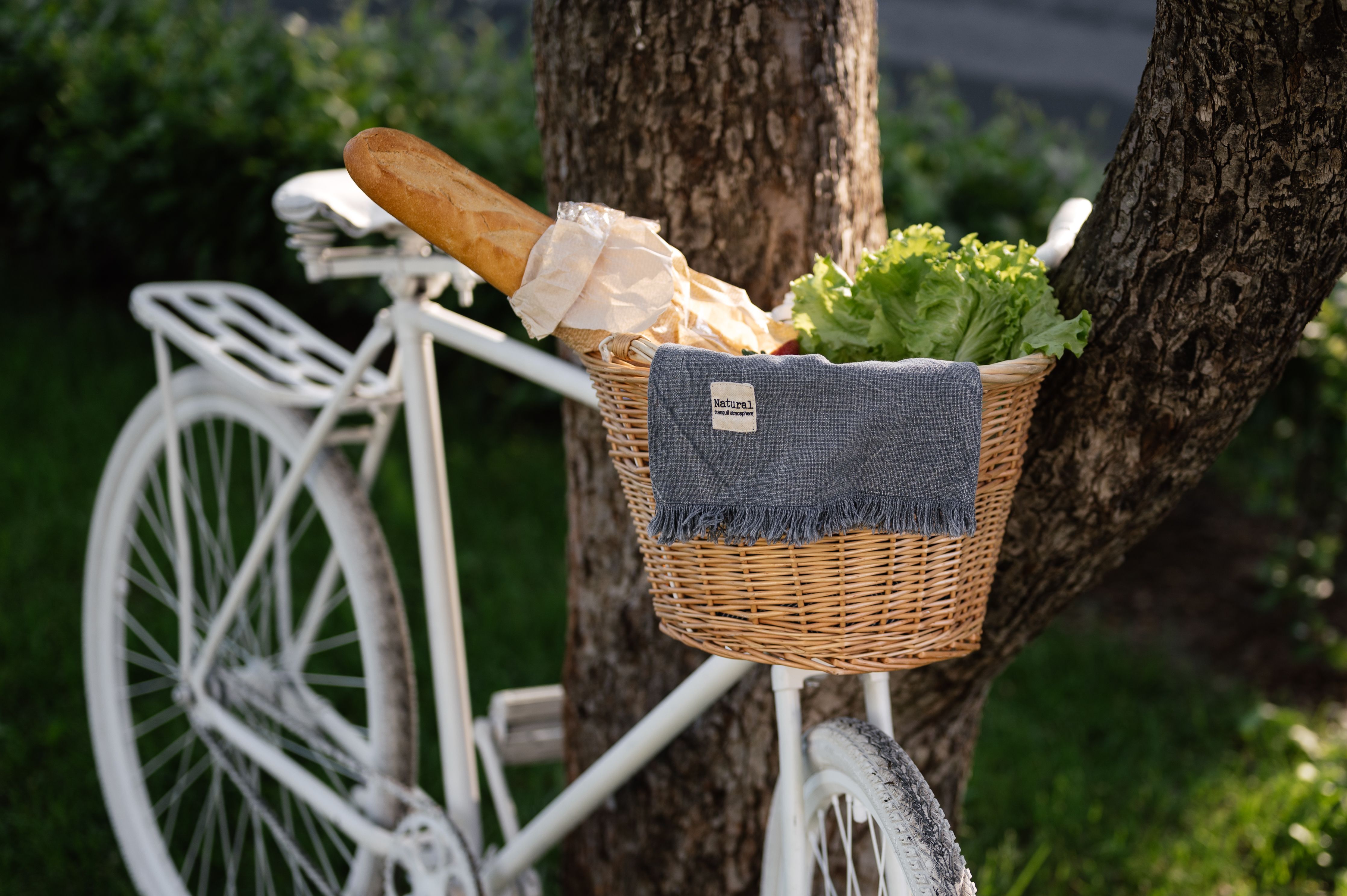White Bike Parked Beside a Tree · Free Stock Photo