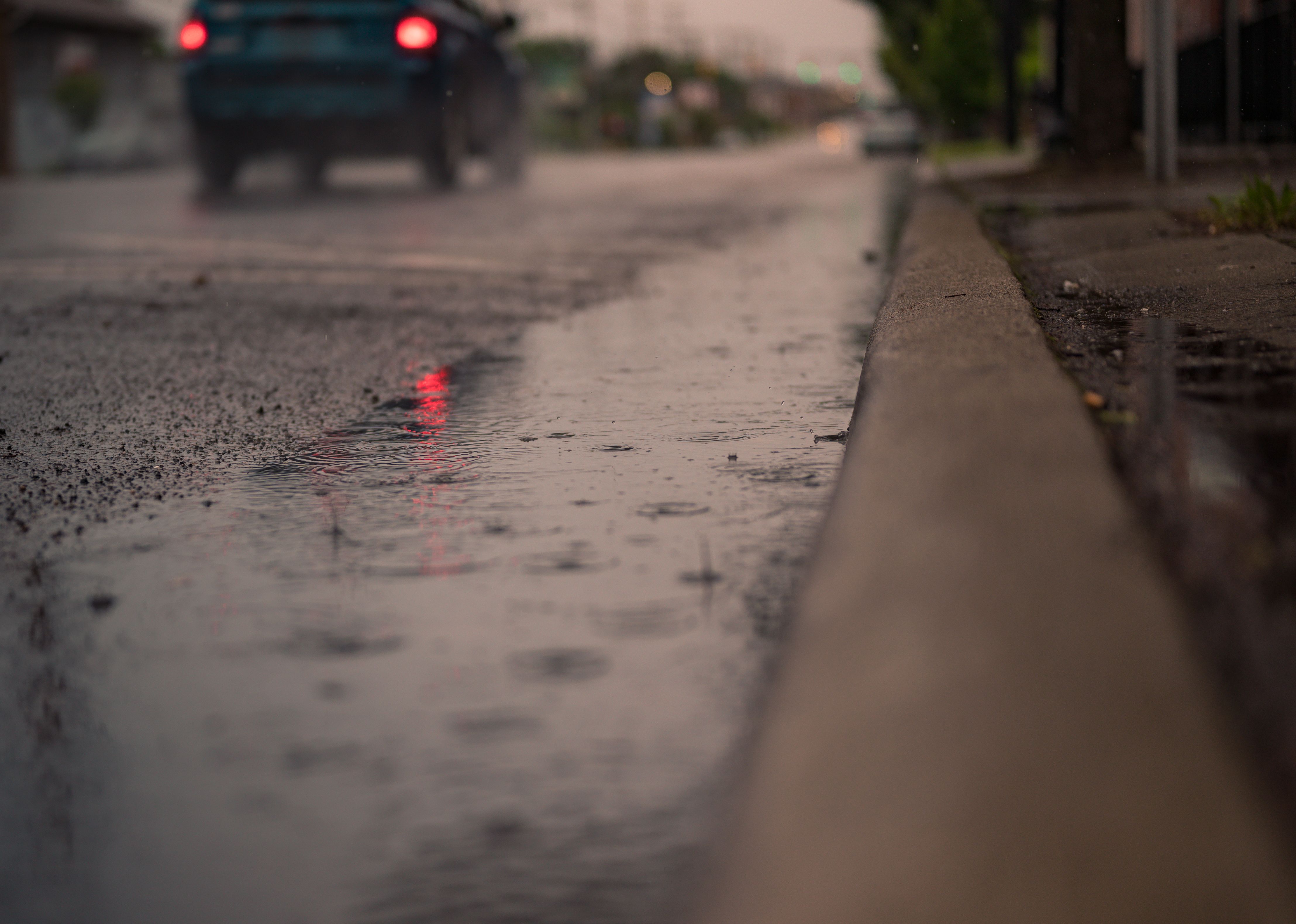 Close-up of a Wet Asphalt Road in City · Free Stock Photo