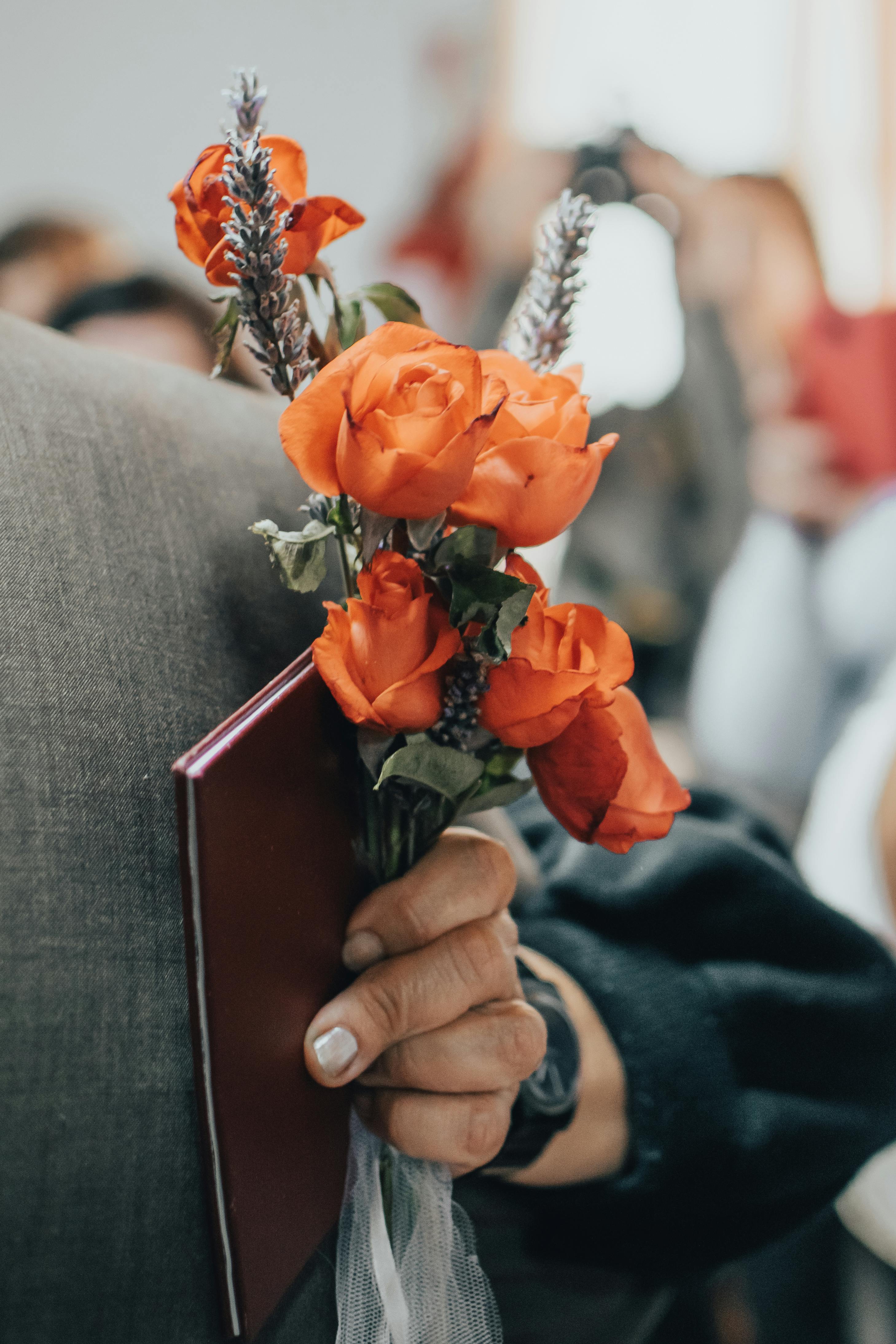 Orange Tipped Roses Photos, Download The BEST Free Orange Tipped Roses ...