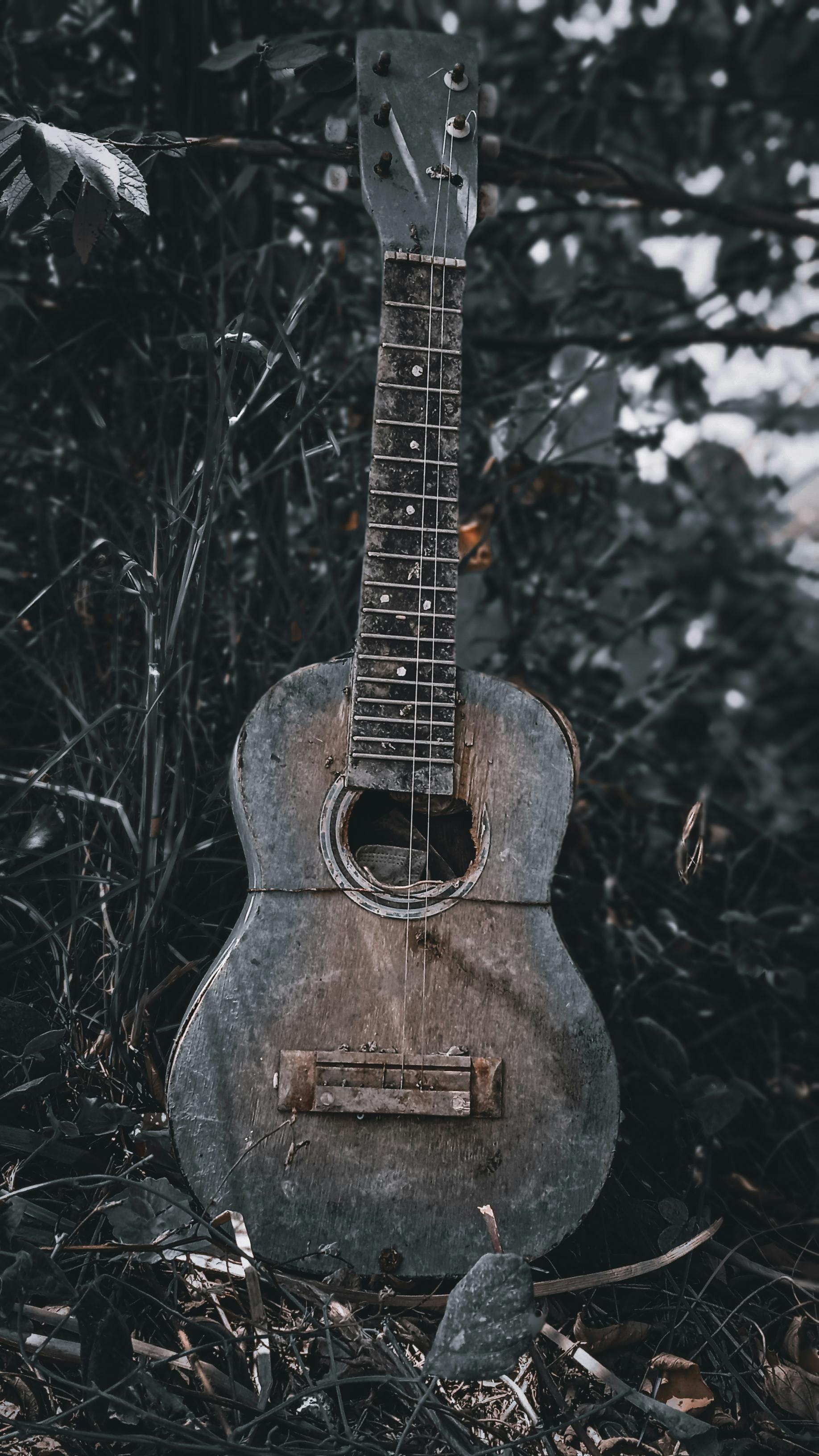 Broken Musical Instruments Photos, Download The BEST Free Broken ...