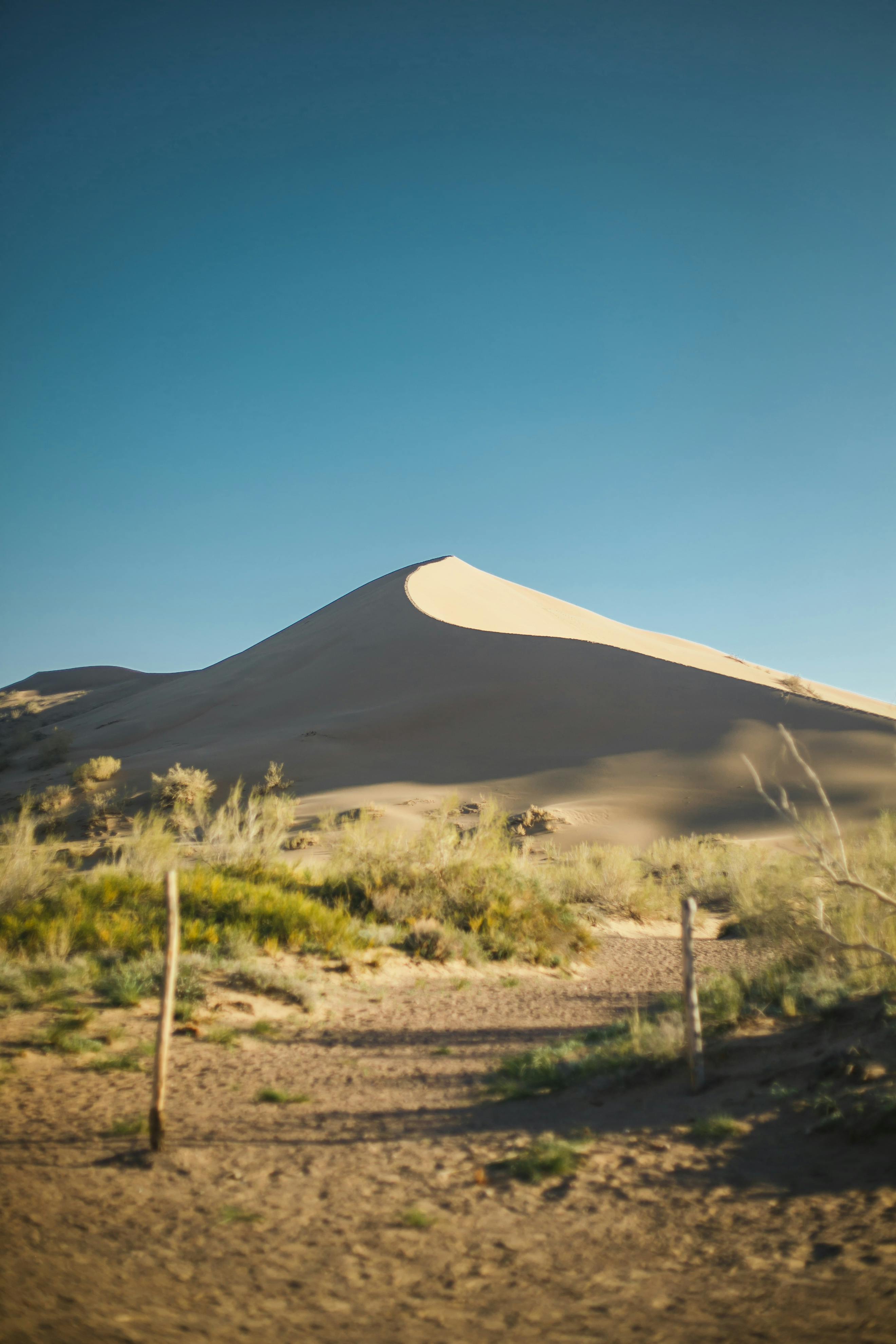 Green Grass Across Desert Under Blue Sunny Sky · Free Stock Photo