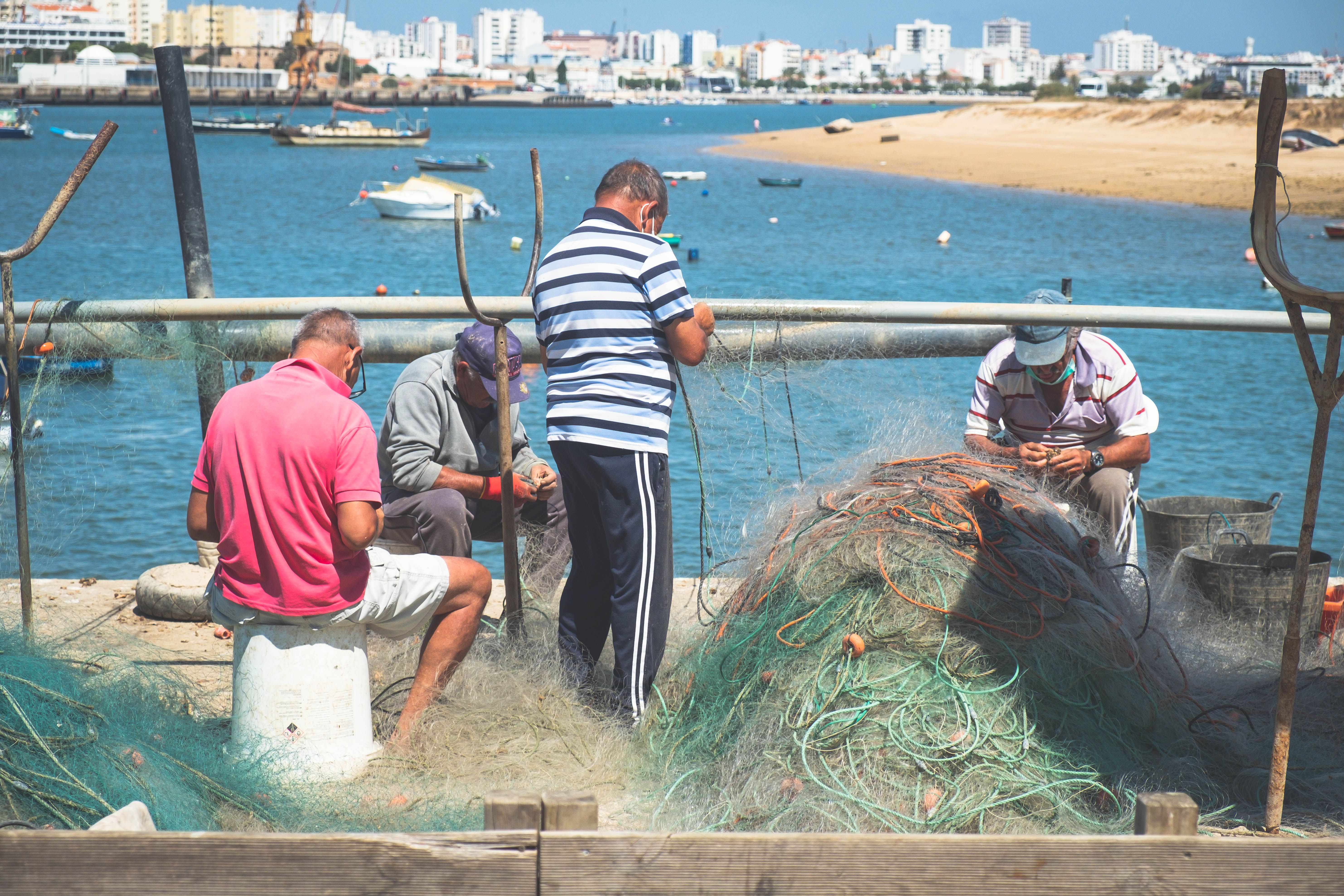 Fishermen Working on Sea Shore · Free Stock Photo