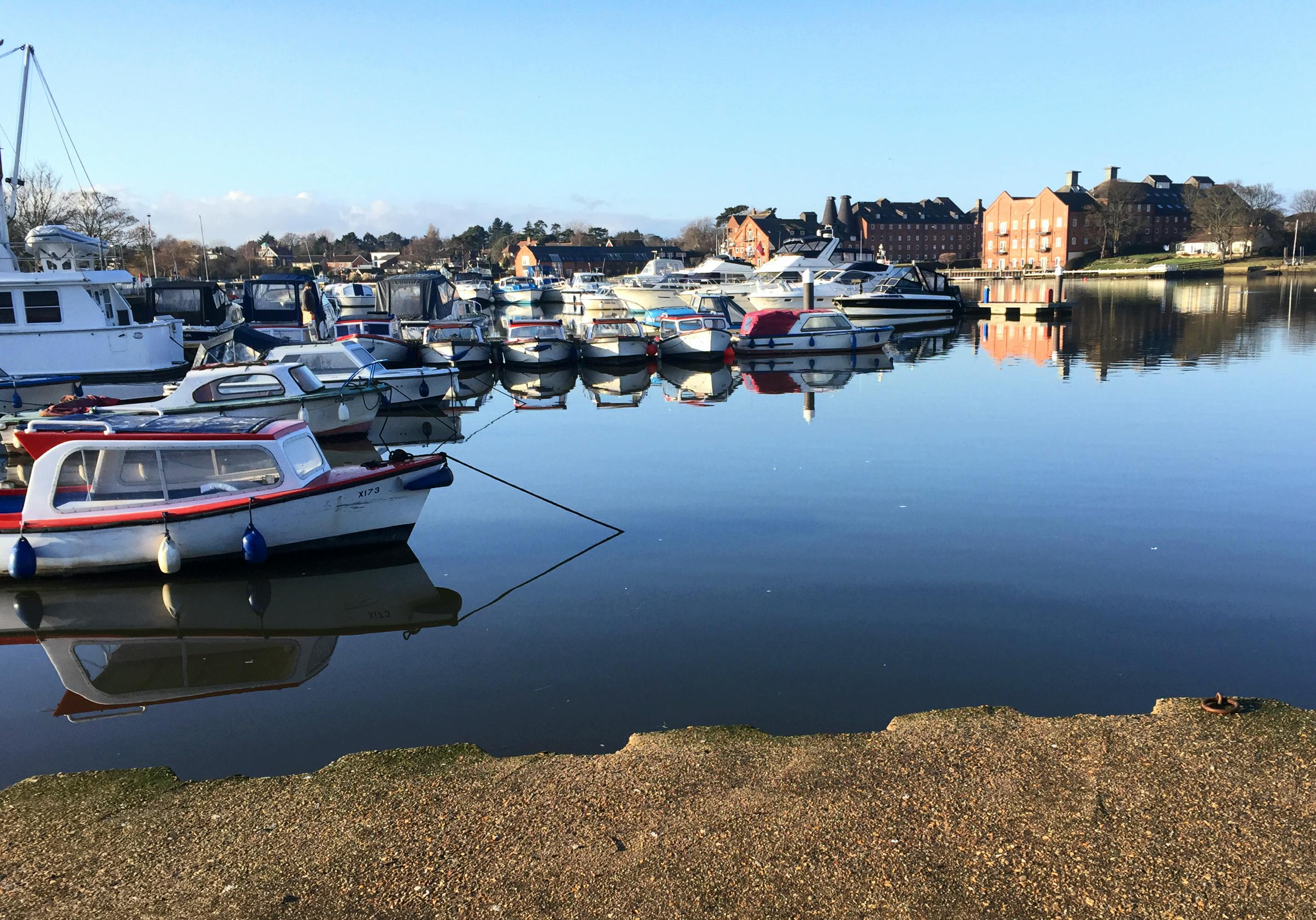 Free stock photo of beach, cliffside, foliage