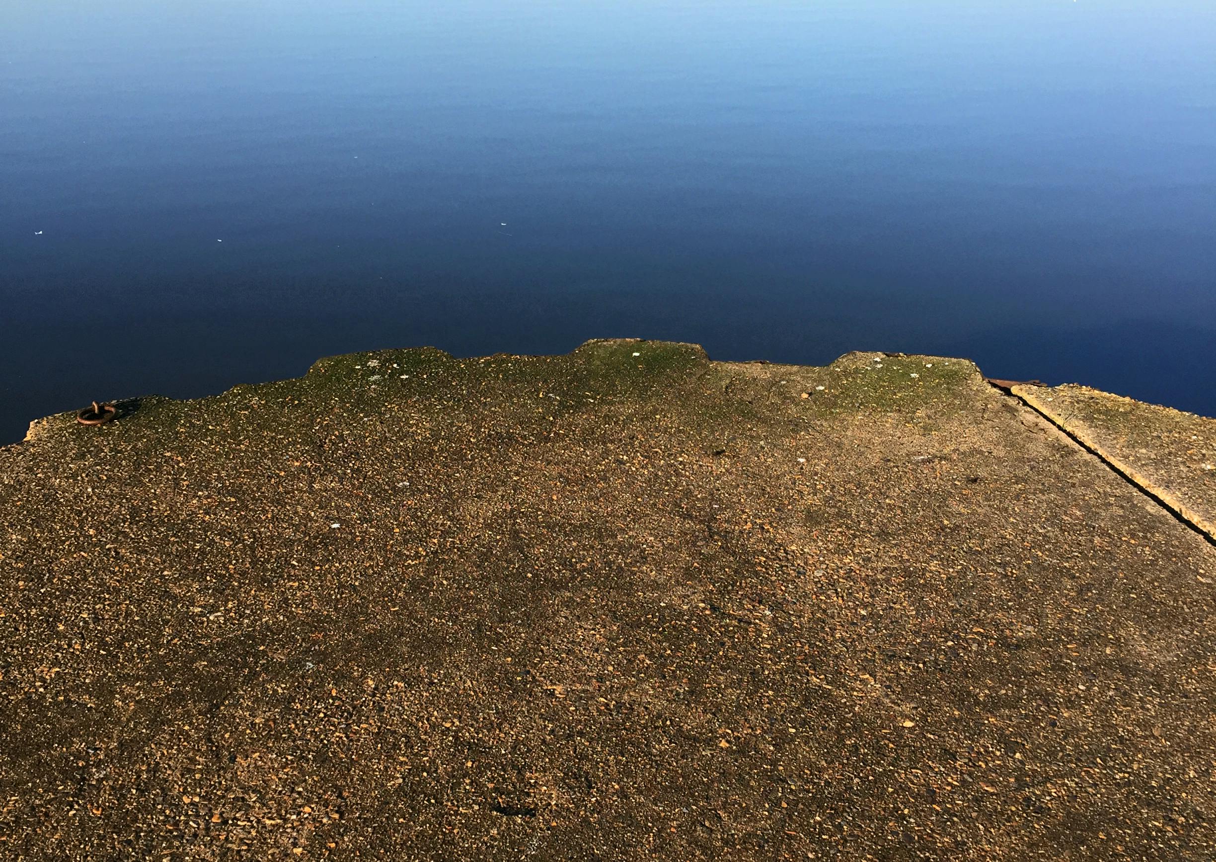 Free stock photo of beach, cliffside, foliage