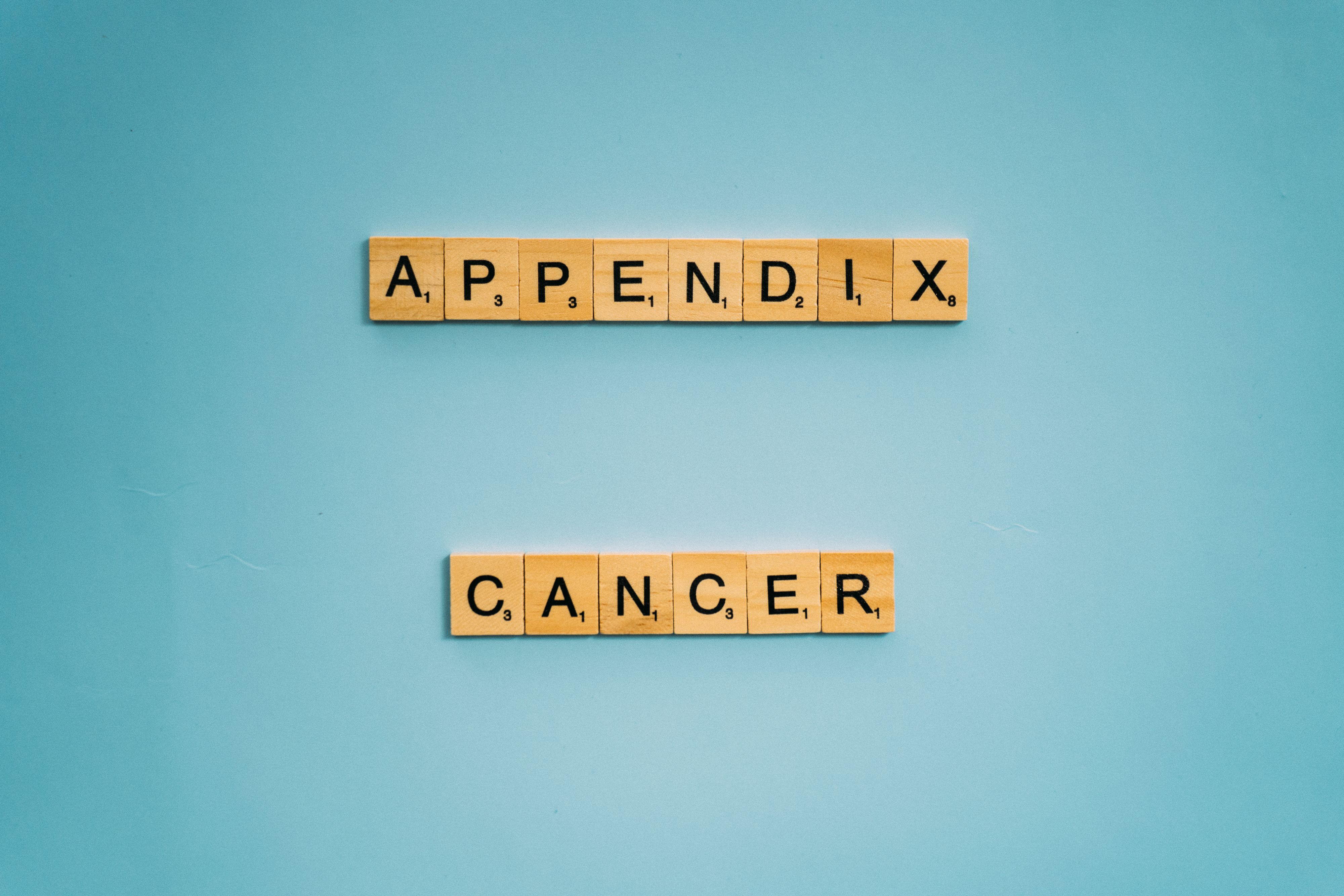 Appendix Vermiformis Photos, Download The BEST Free Appendix ...